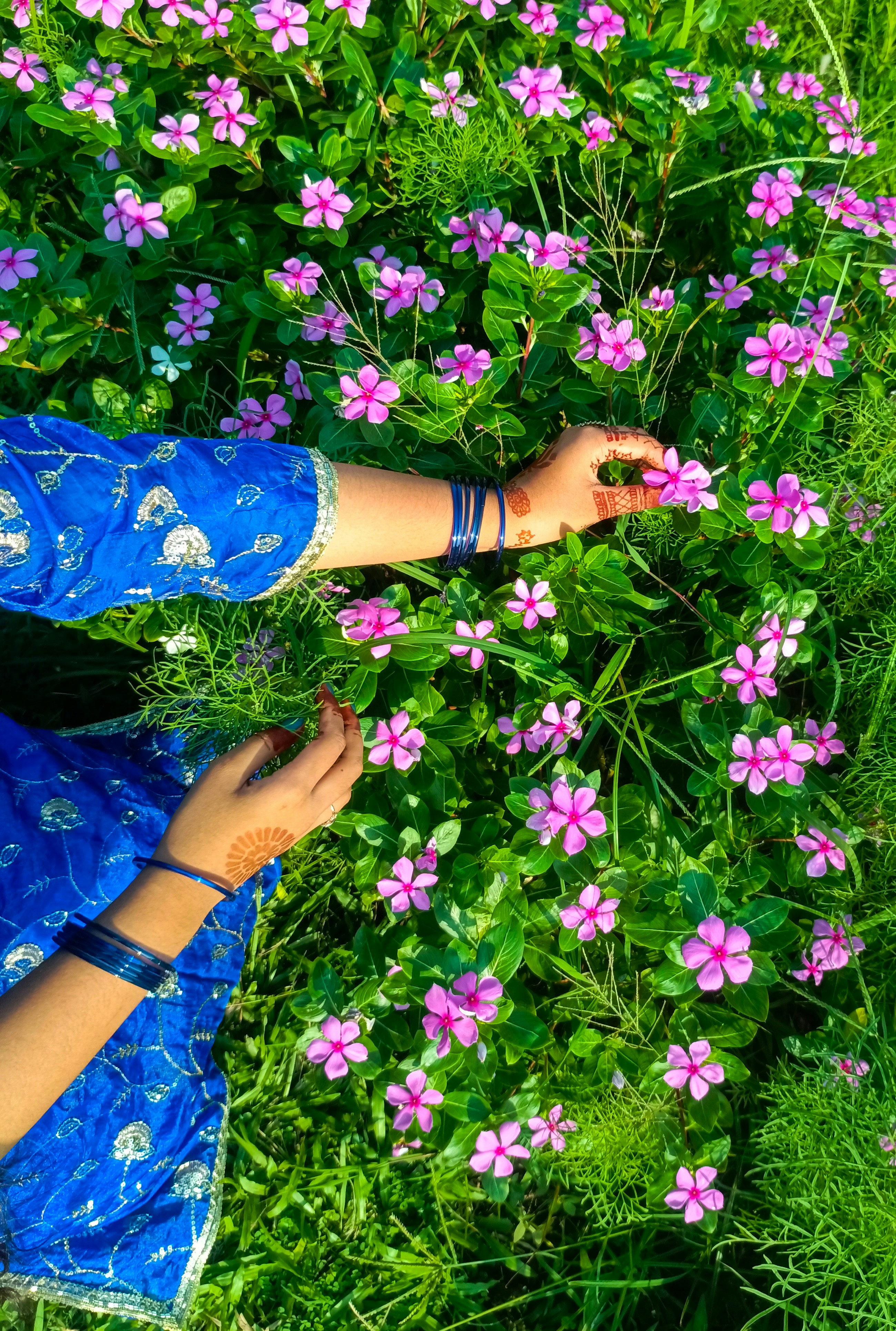Touch of Indigo: Hands Among Violet Blooms