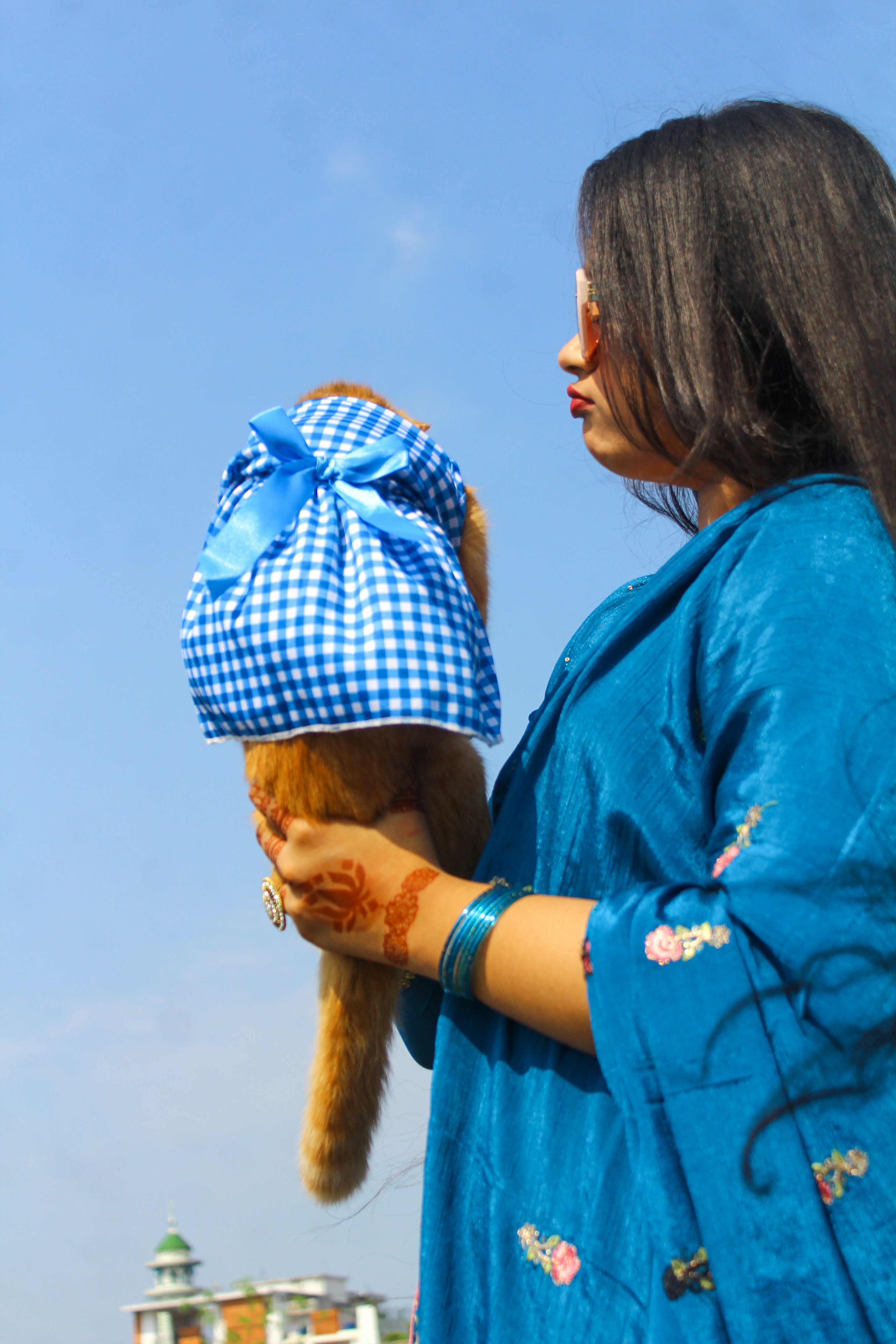 Blue Veil of Confidence: A Woman and Her Gifted Companion