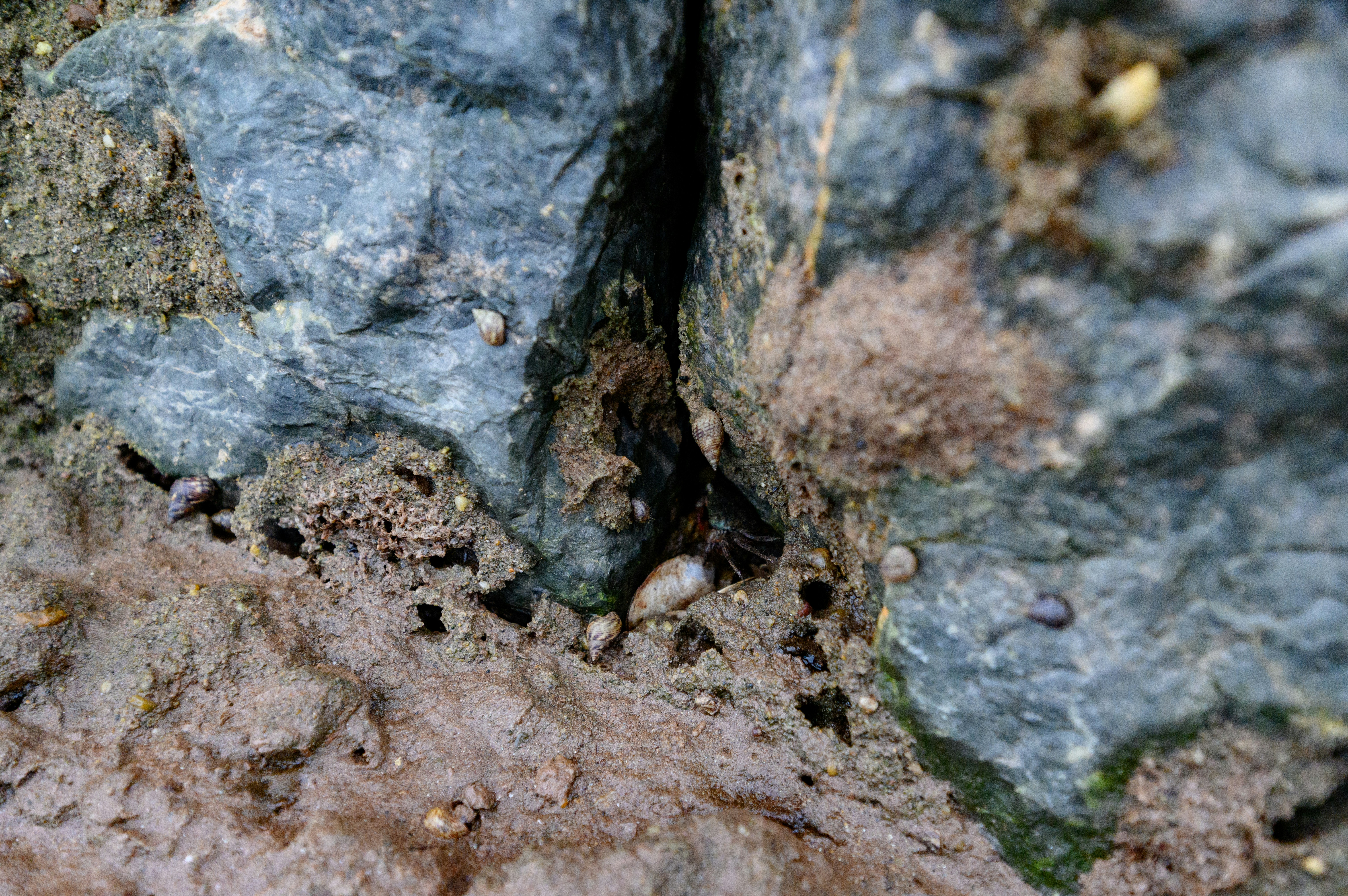 Crack Reveals Earth and Mineral Tones at Ground Level