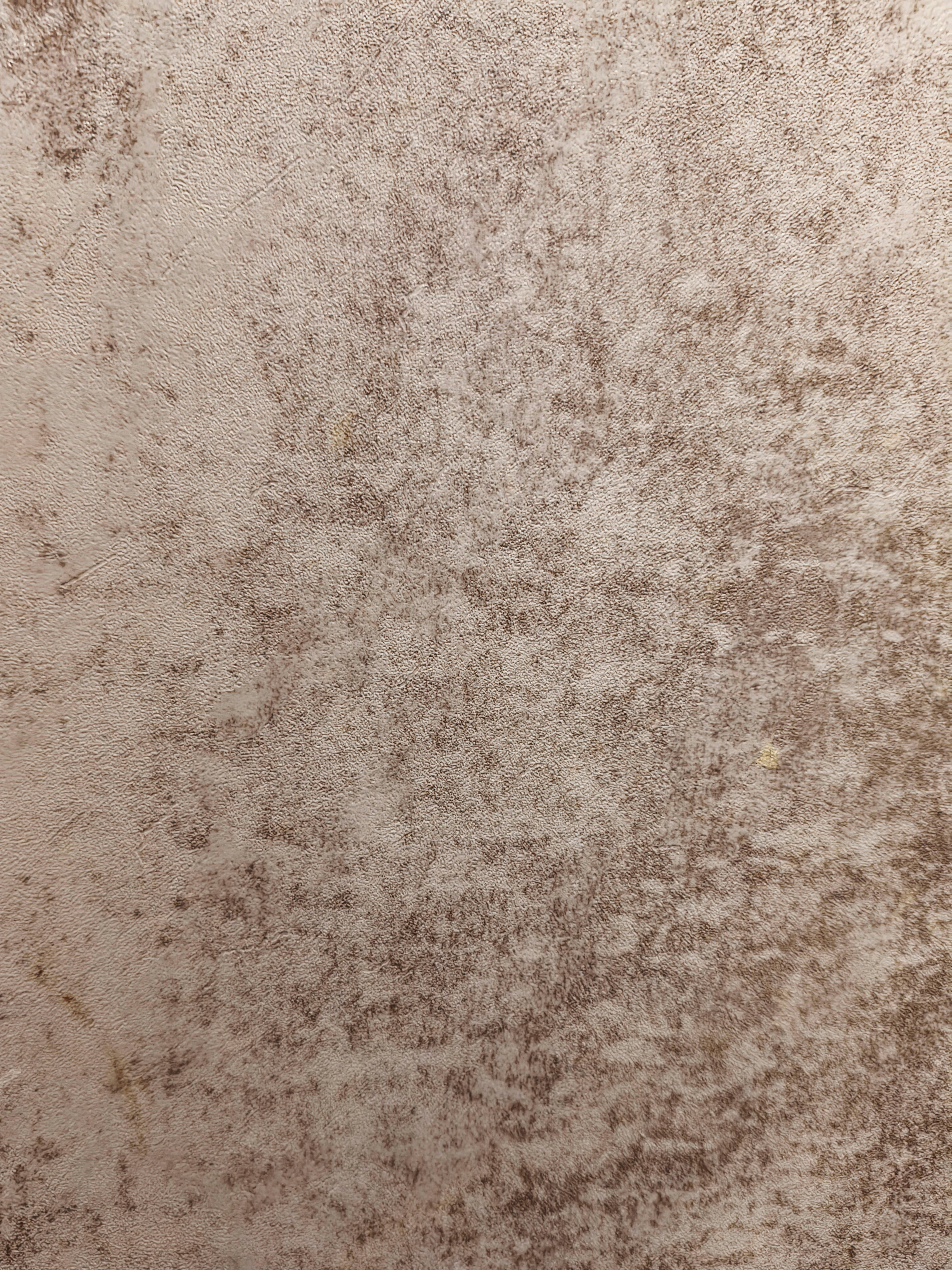 Texture and Time: A Rust-Colored Concrete Surface