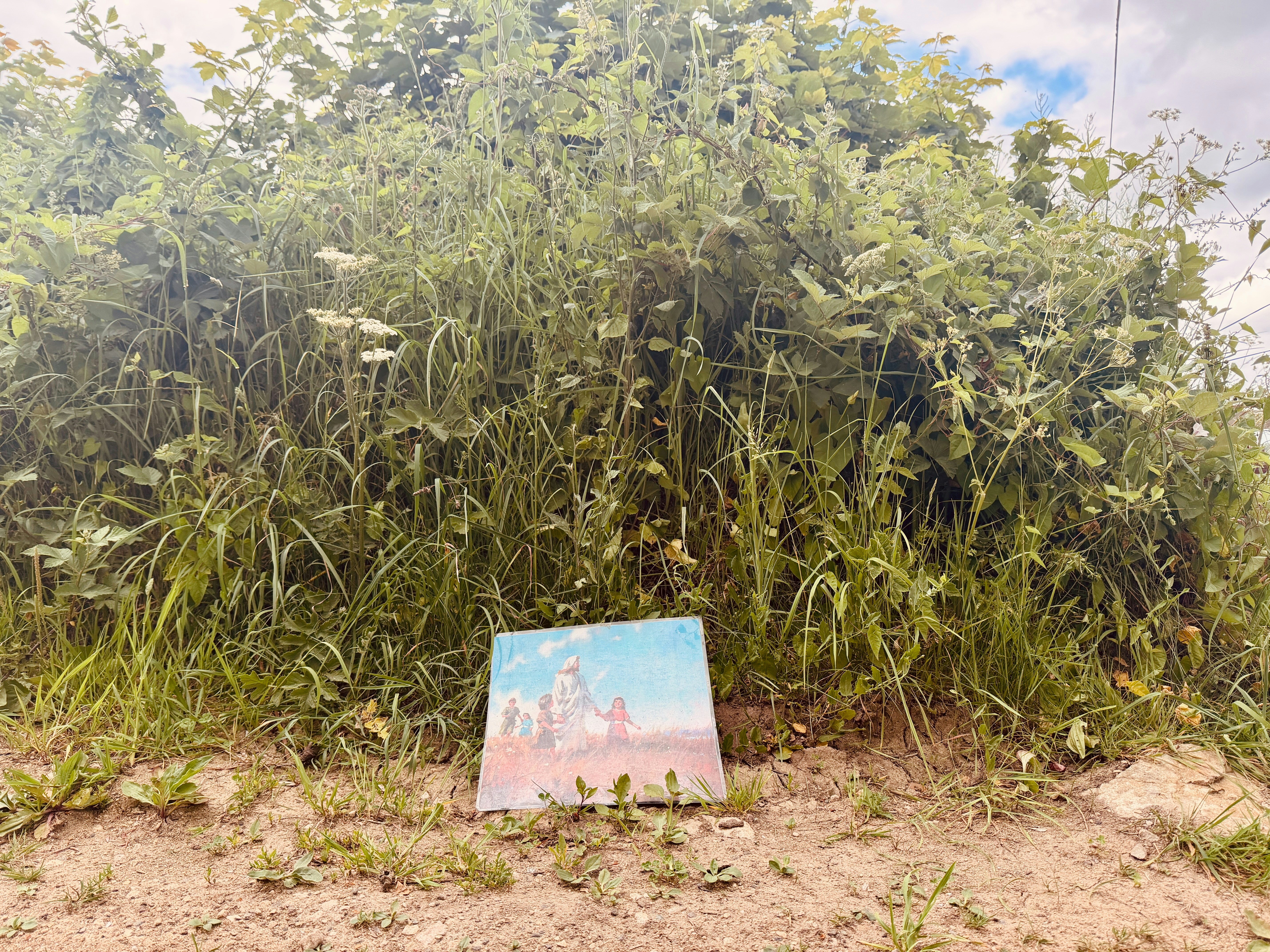 A Painted Card at the Verge of Weeds
