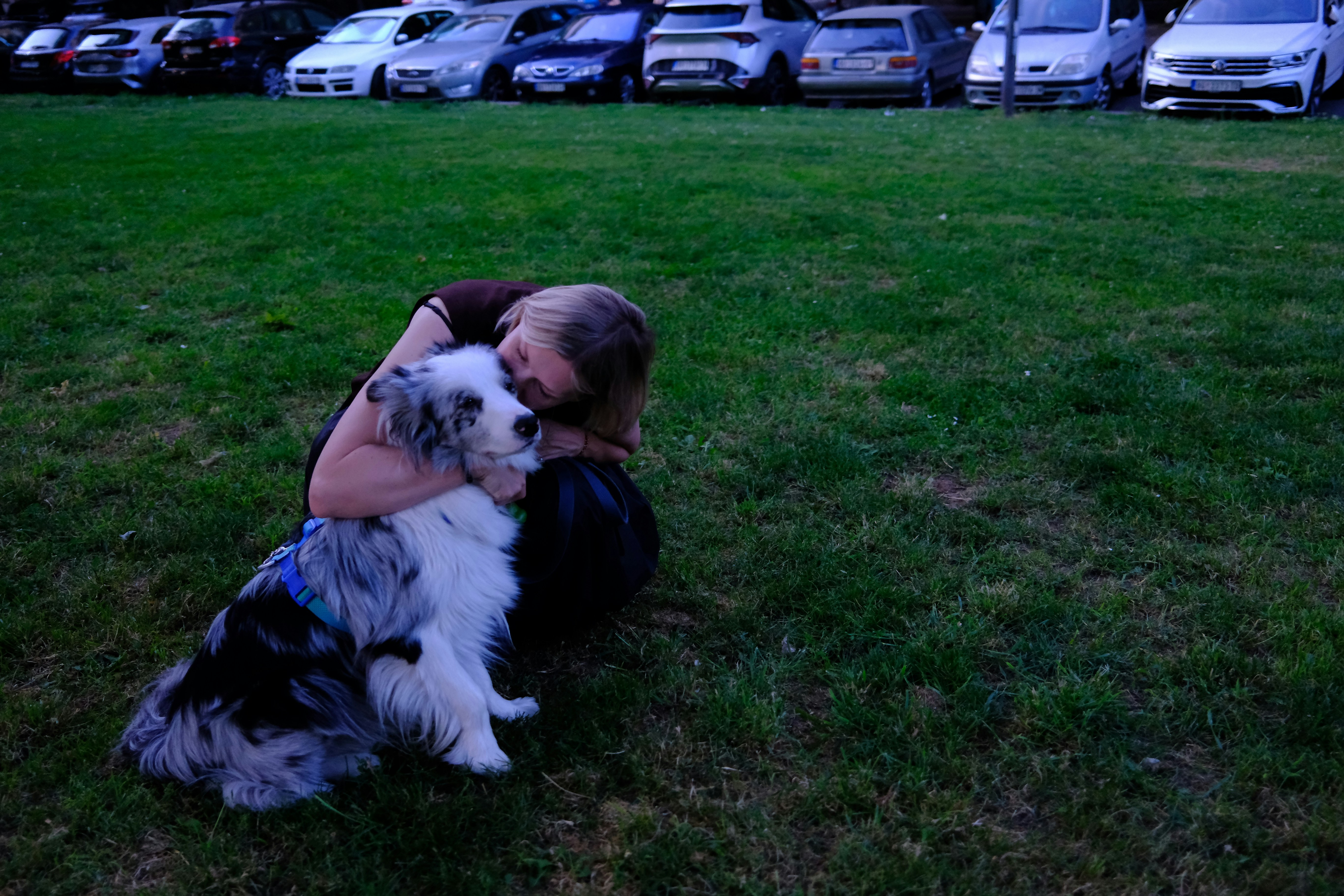 Woman embraces her merle dog on green grass.