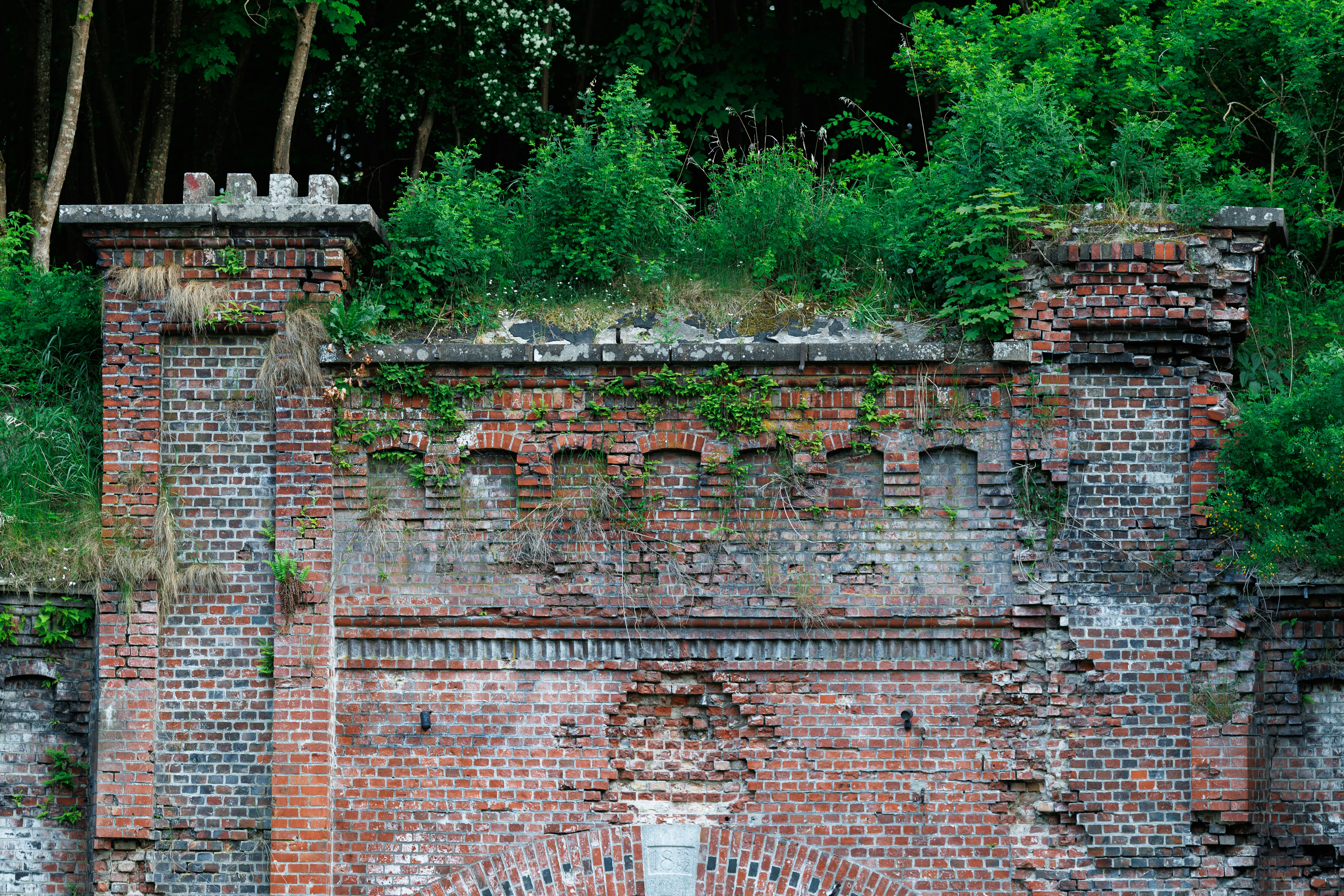 Overgrown Brickwork: Weathered Wall Reclaimed by Greenery