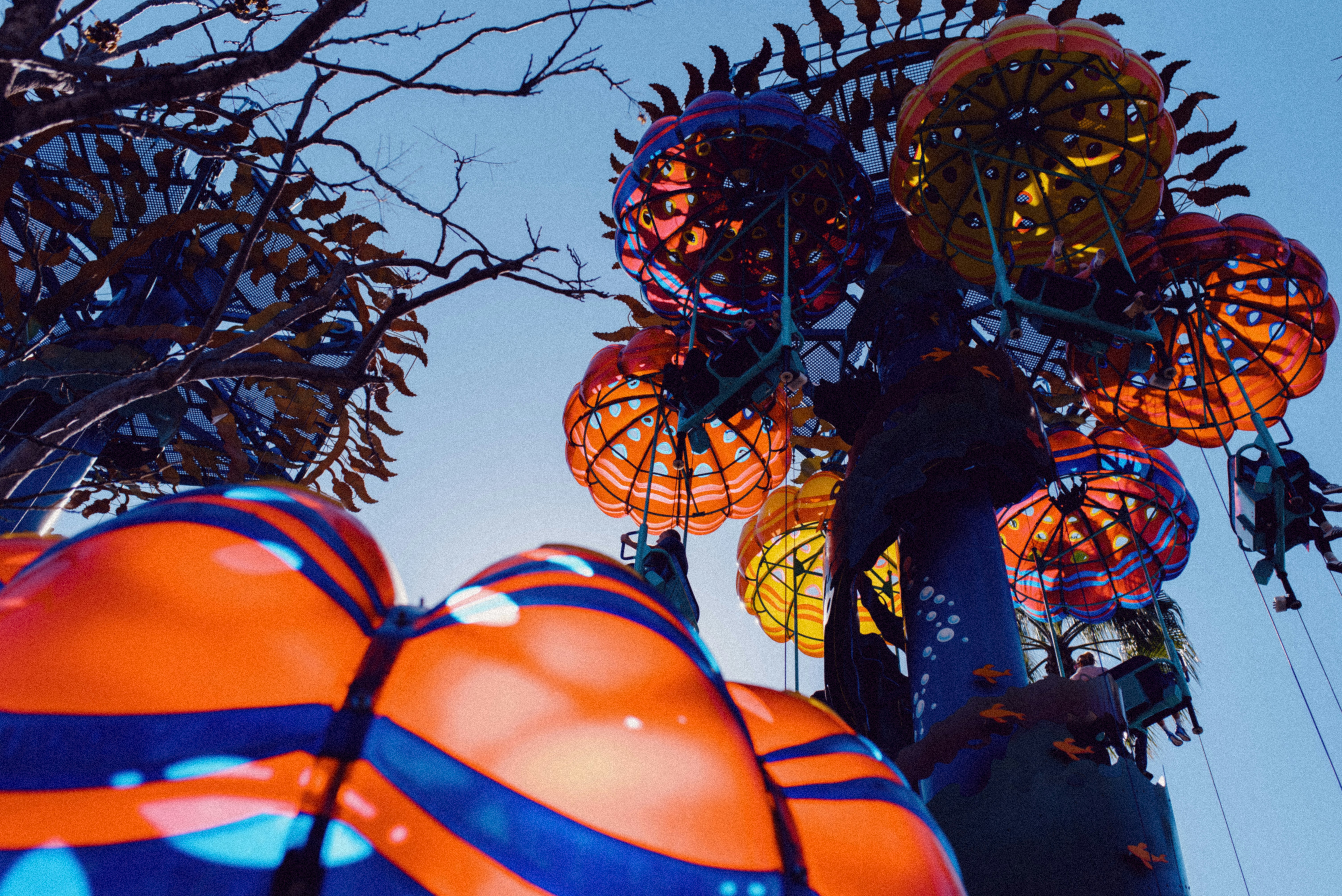 Lantern Bloom: A Rooftop Festival of Warm Orbs