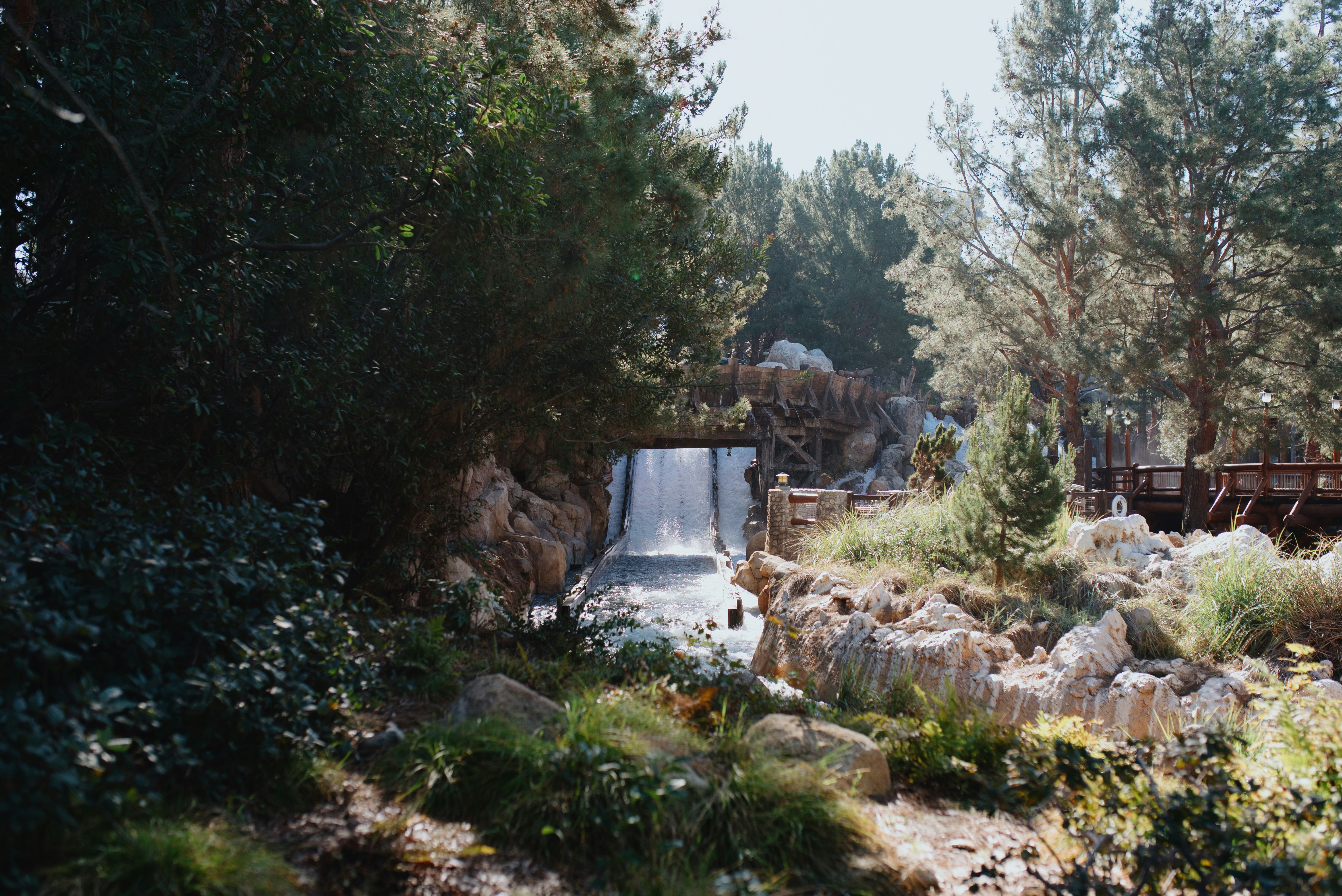 Whispering Falls: A Tranquil Canyon Oasis with Tropical Light