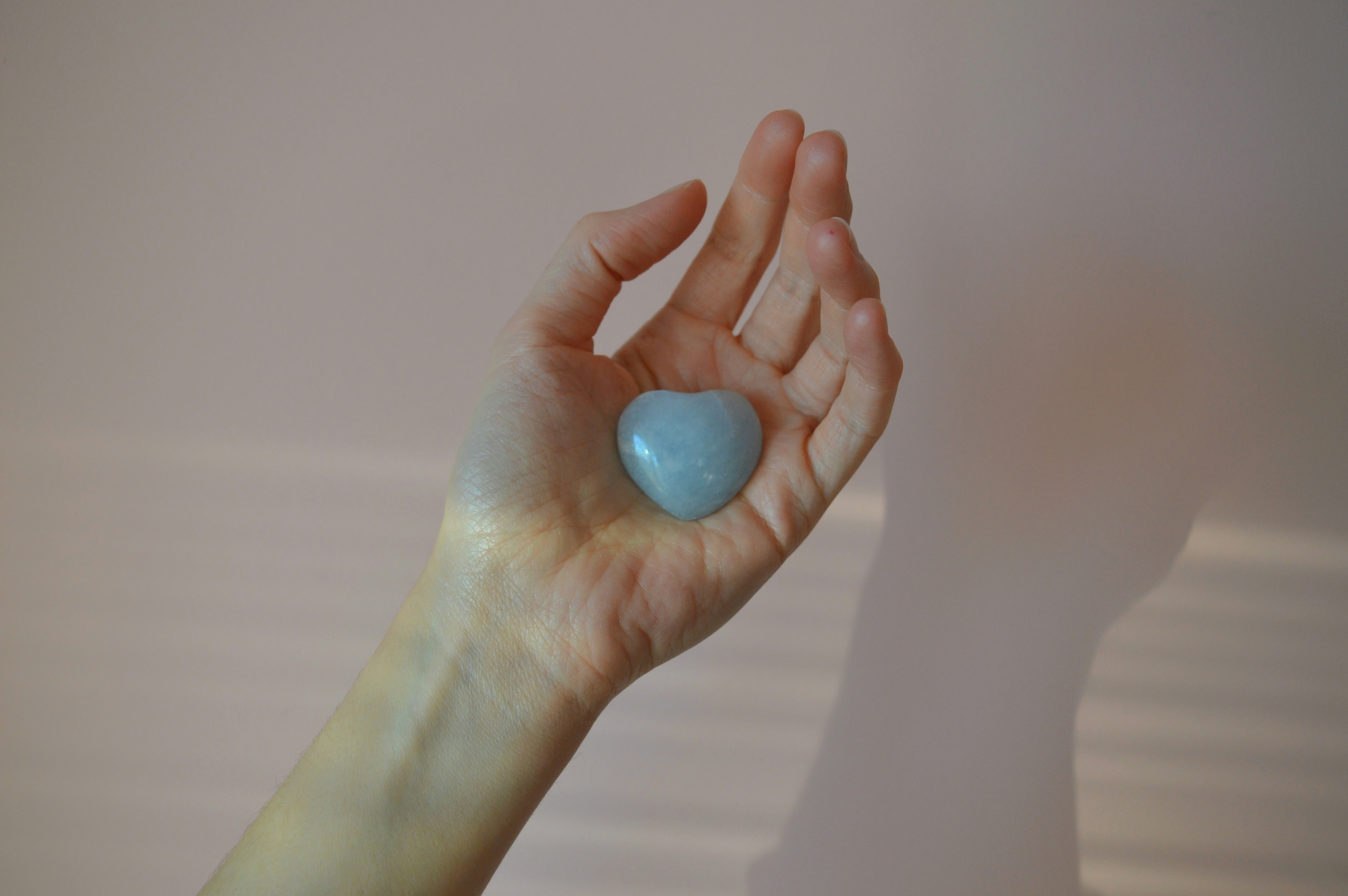 Handheld Heart: A Tender Reveal of Color and Shadow