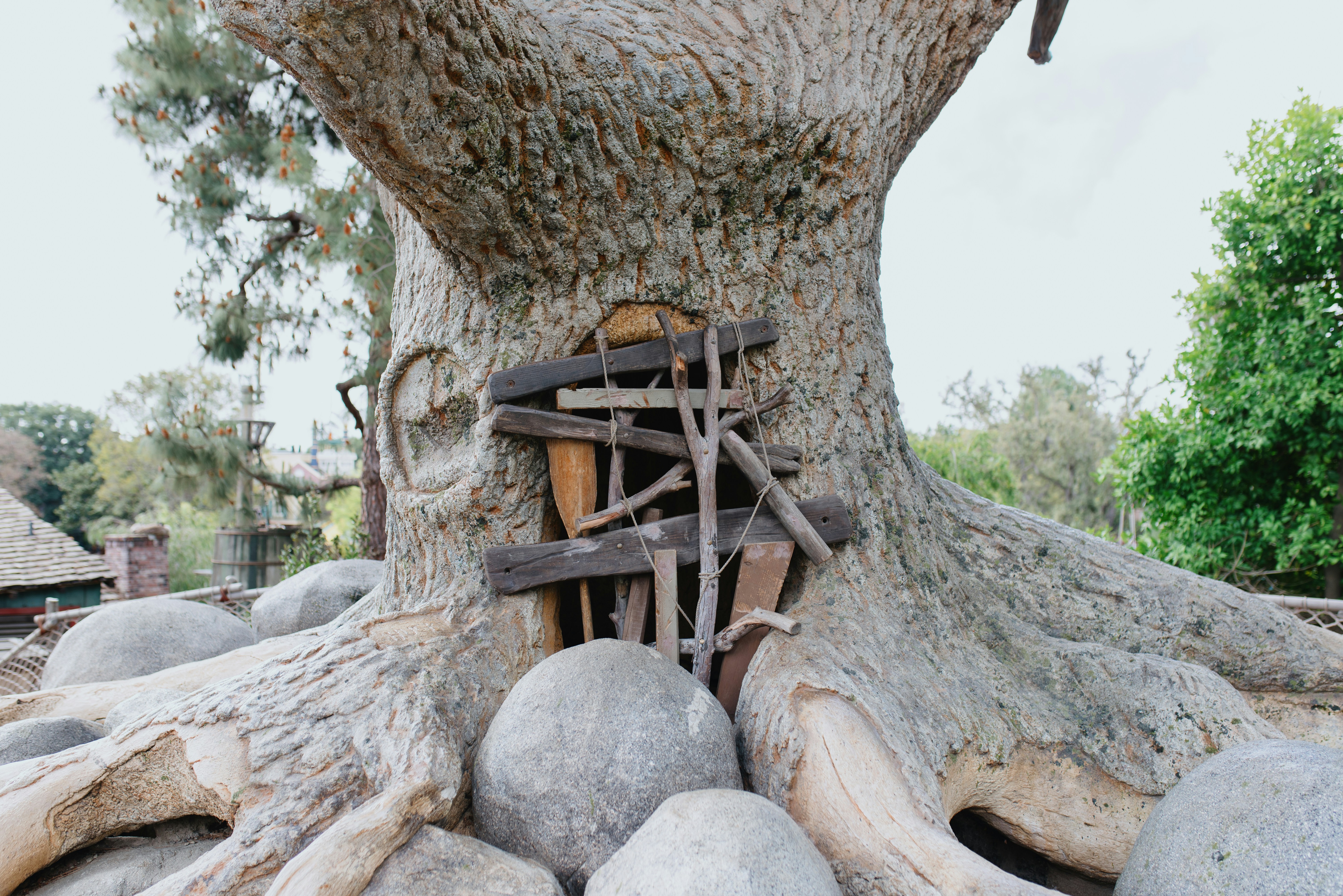Ancient tree with a carved wooden door embedded in its roots