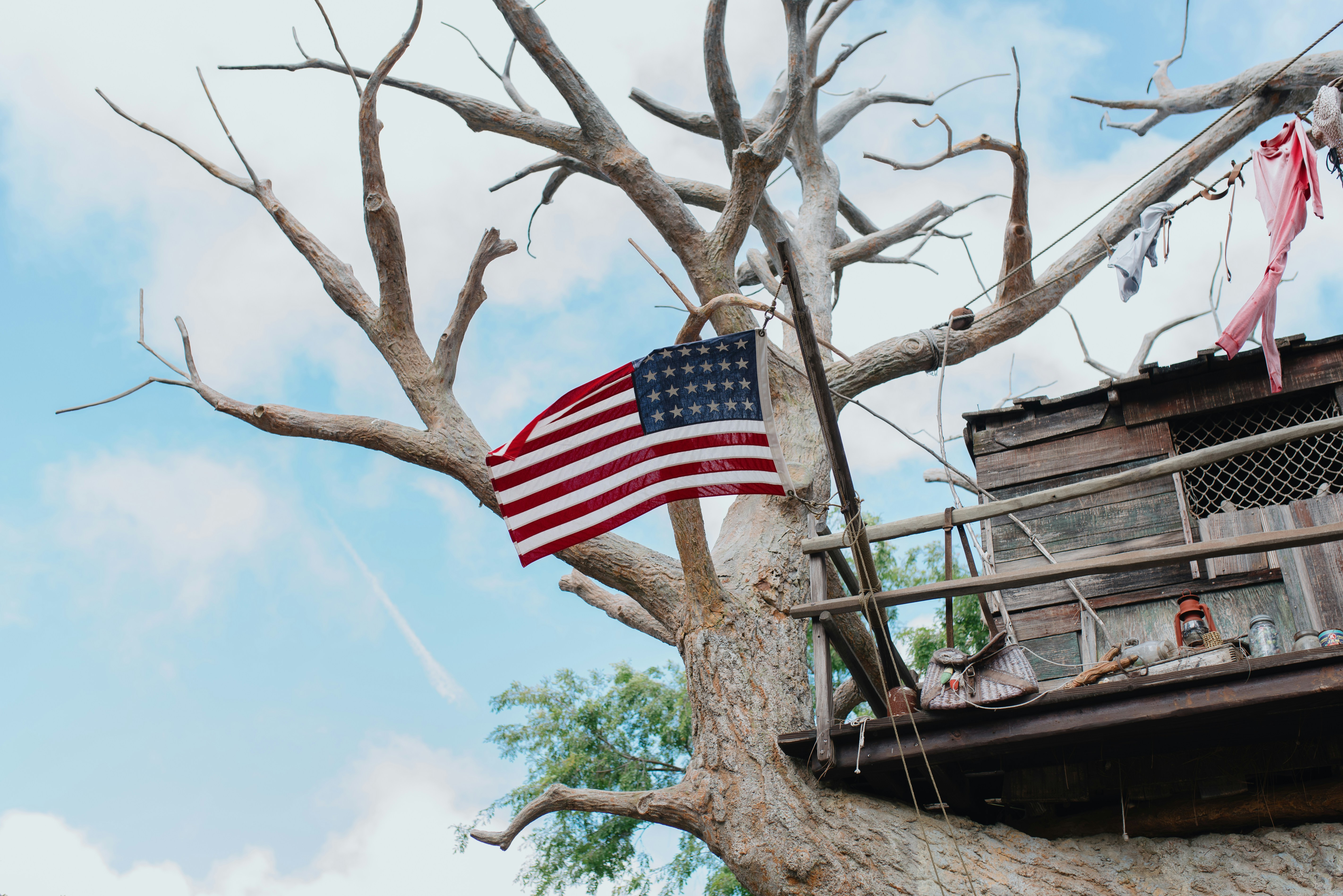 American Flag in the limbs of a weathered tree beside a rustic wooden balcony