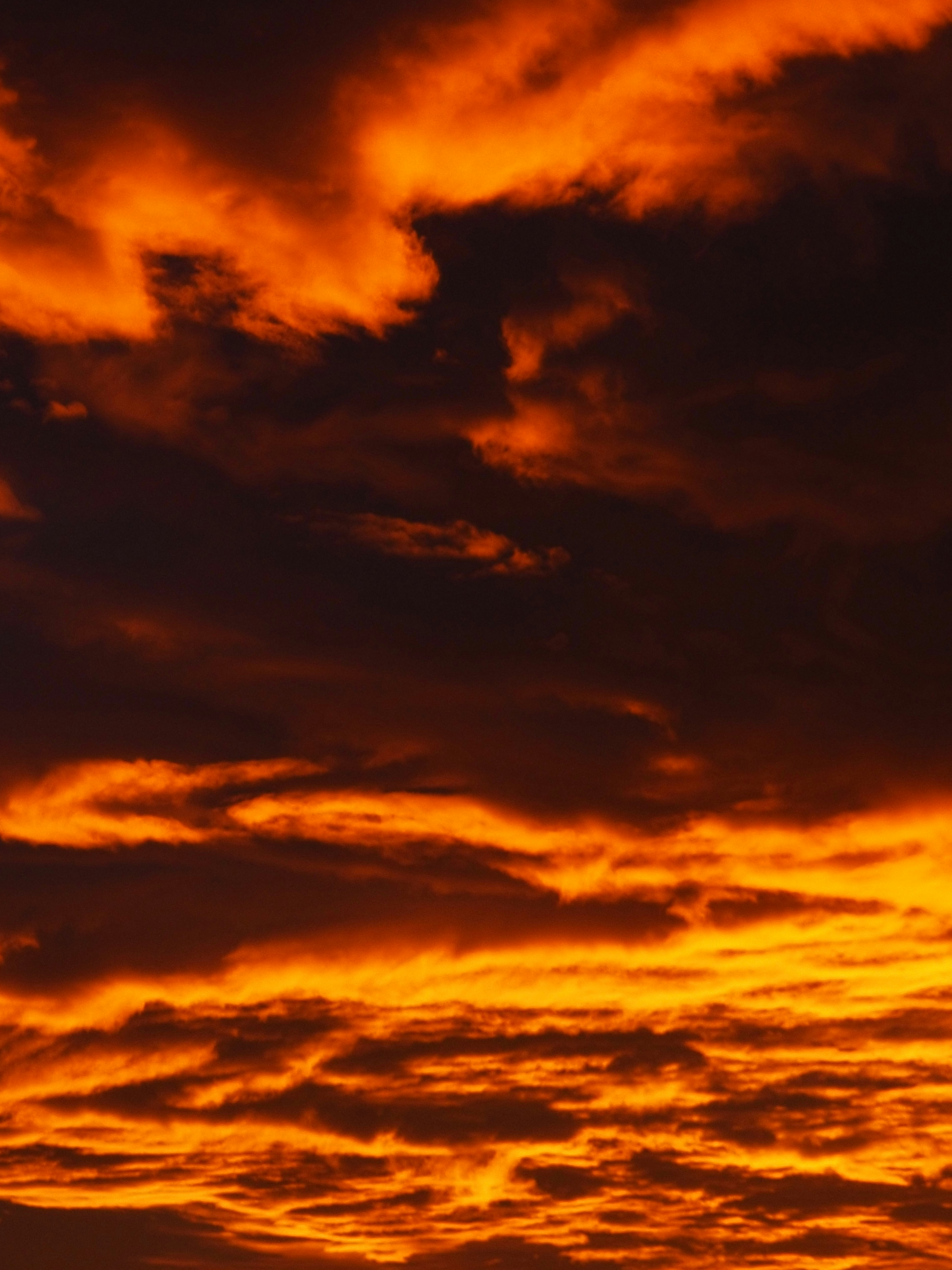 Orange Clouds