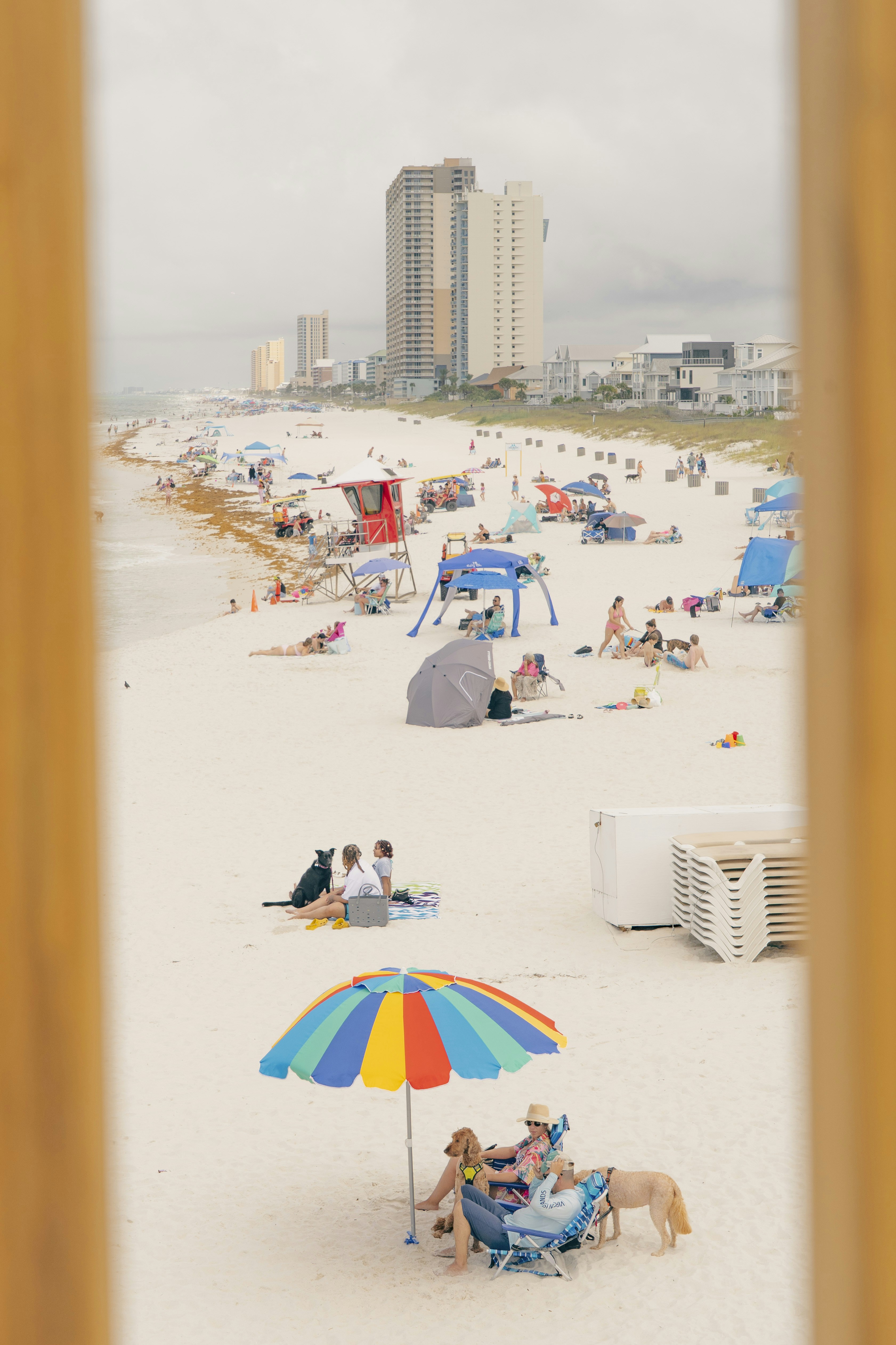 Beachgoers Under a Colorful Umbrella: A Sunlit Seascape Through Framing Fronds