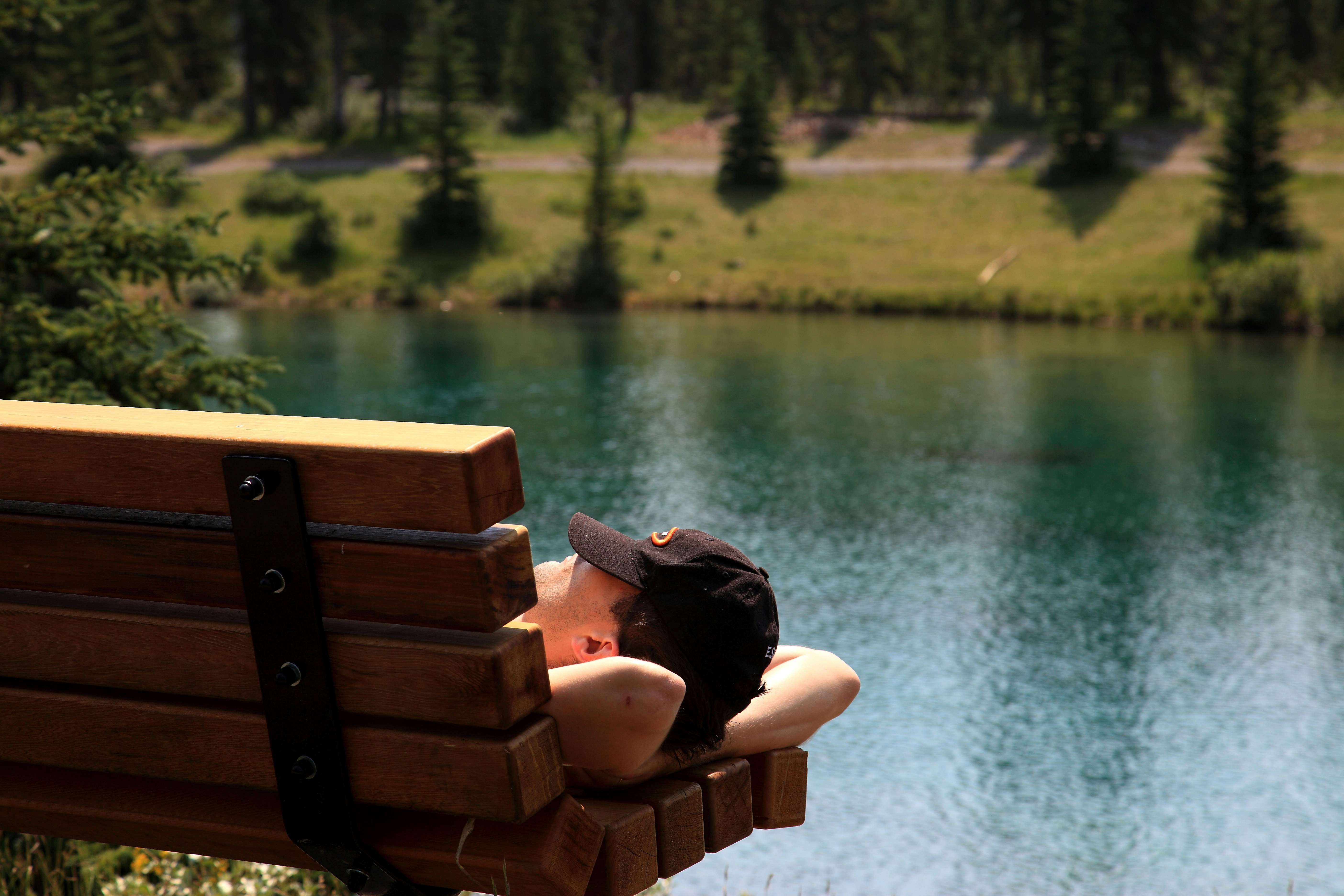Sunlit Rest by the Emerald Pond