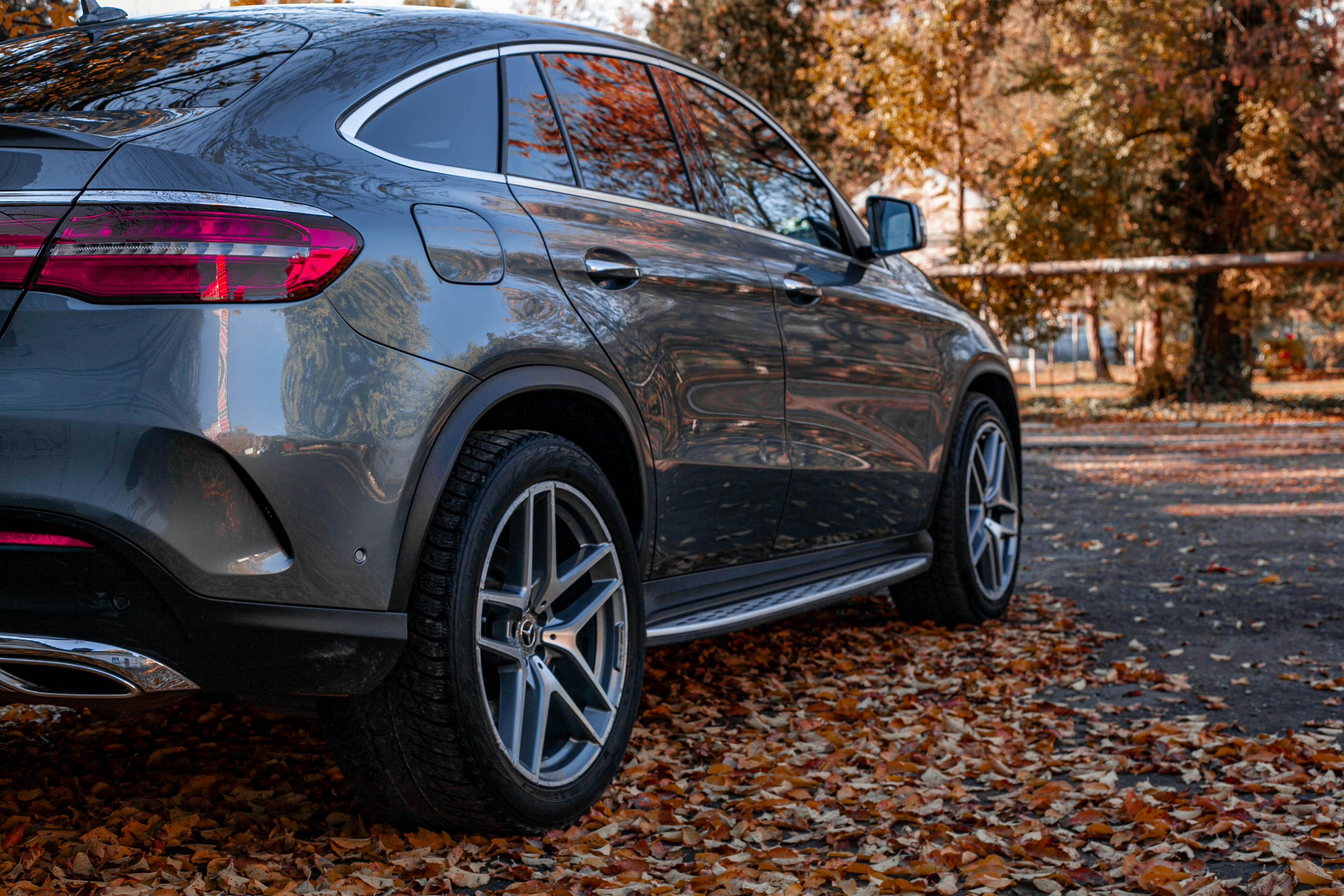 Autumn Reflections on a Curved Silhouette