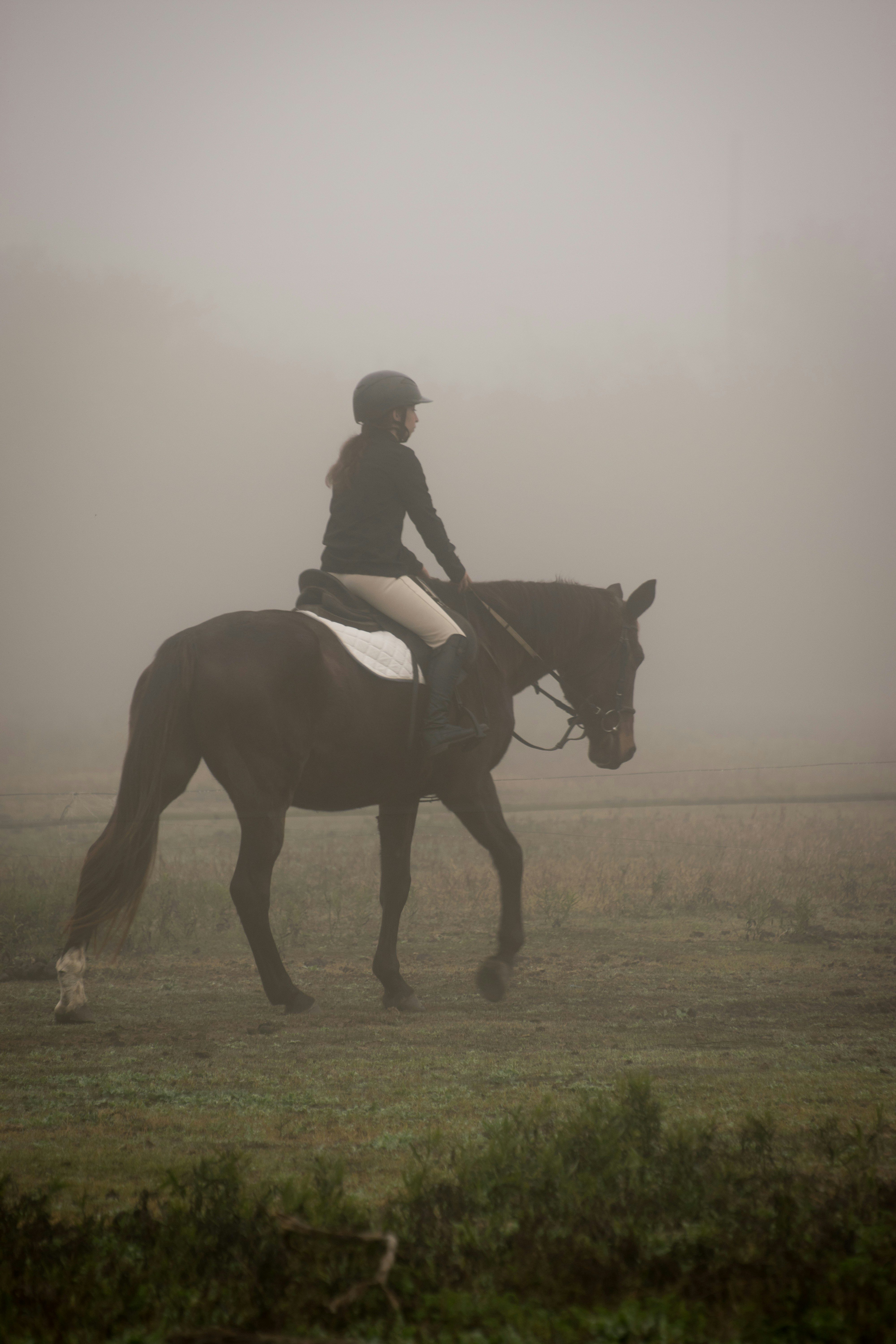 Mist and Masters: Rider Traverses Quiet Field
