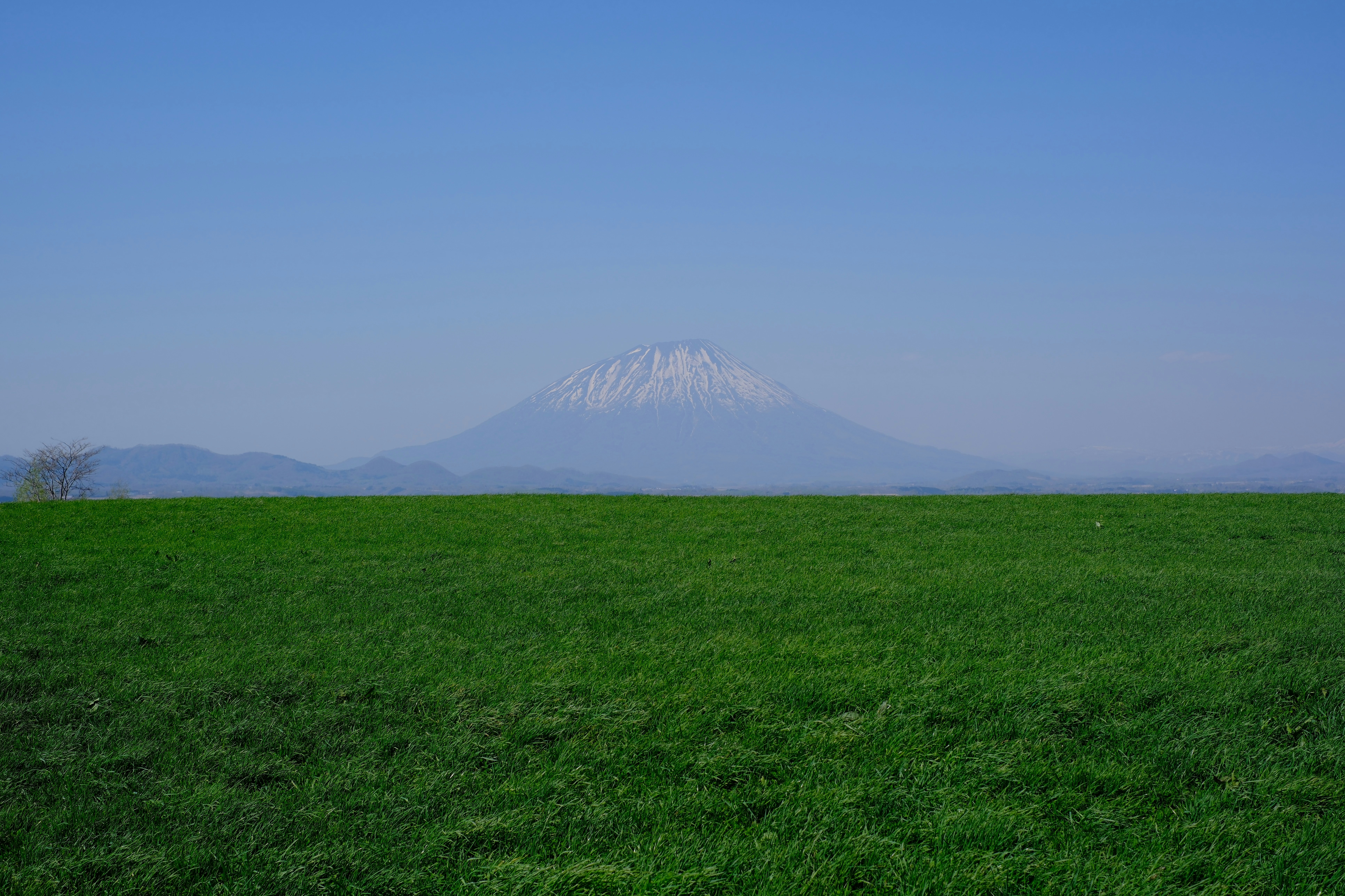 Snow-Capped Peak rising above a sea of green