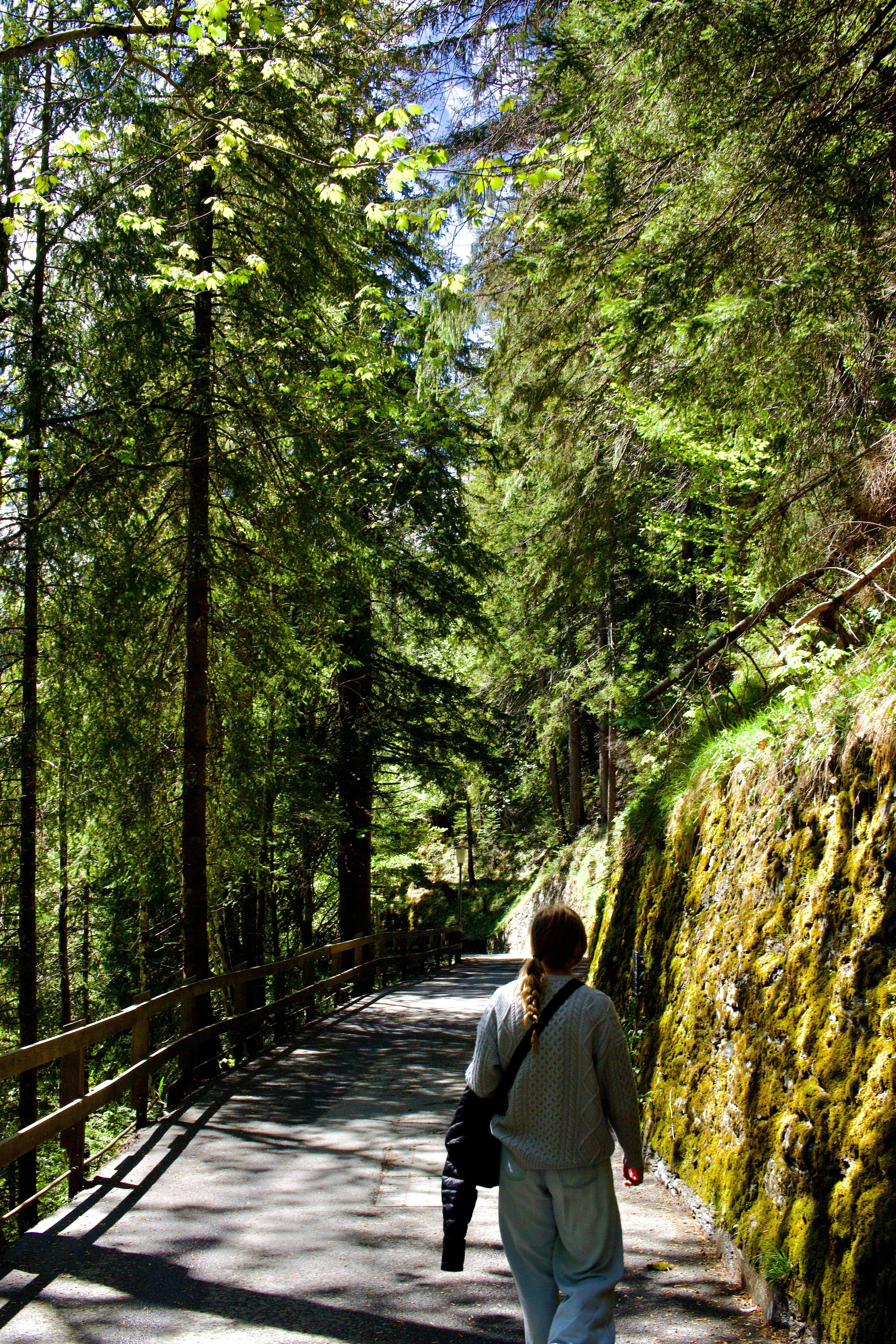 Trail Through the Mossy Cliffside Forest
