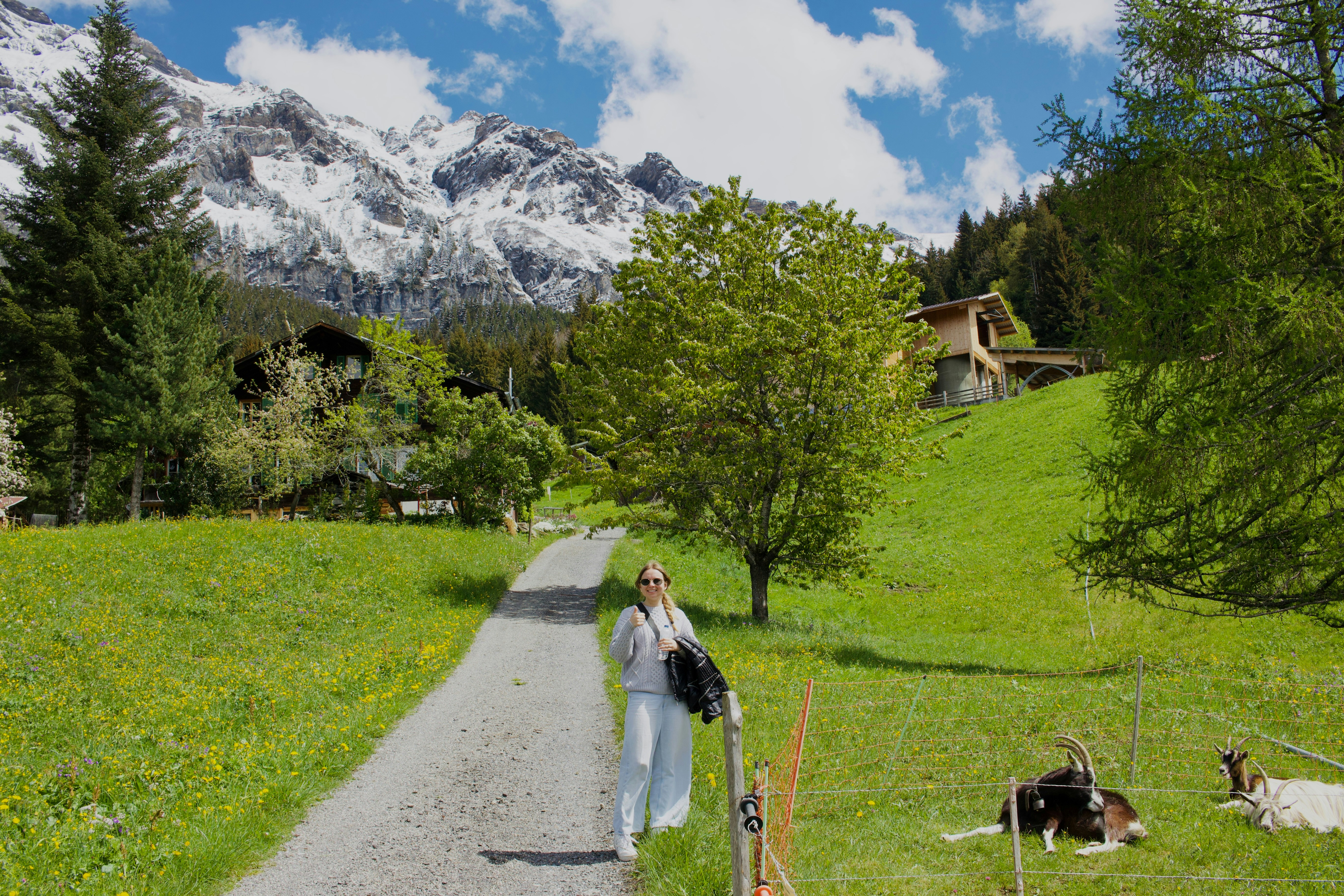 Walking toward the meadow, a woman with a dog along a pastoral path