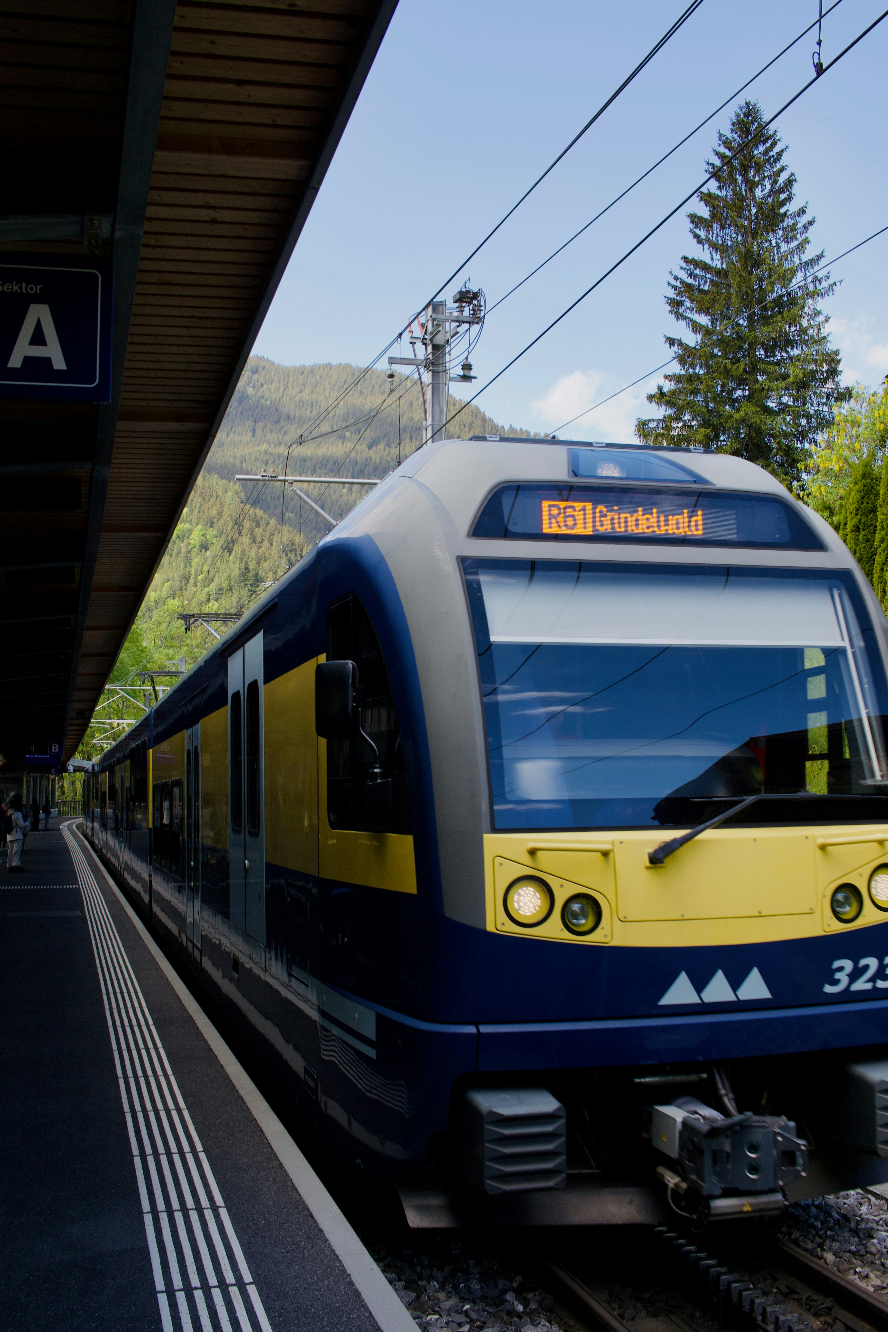Blue and Yellow Locomotive at Alpine Platform