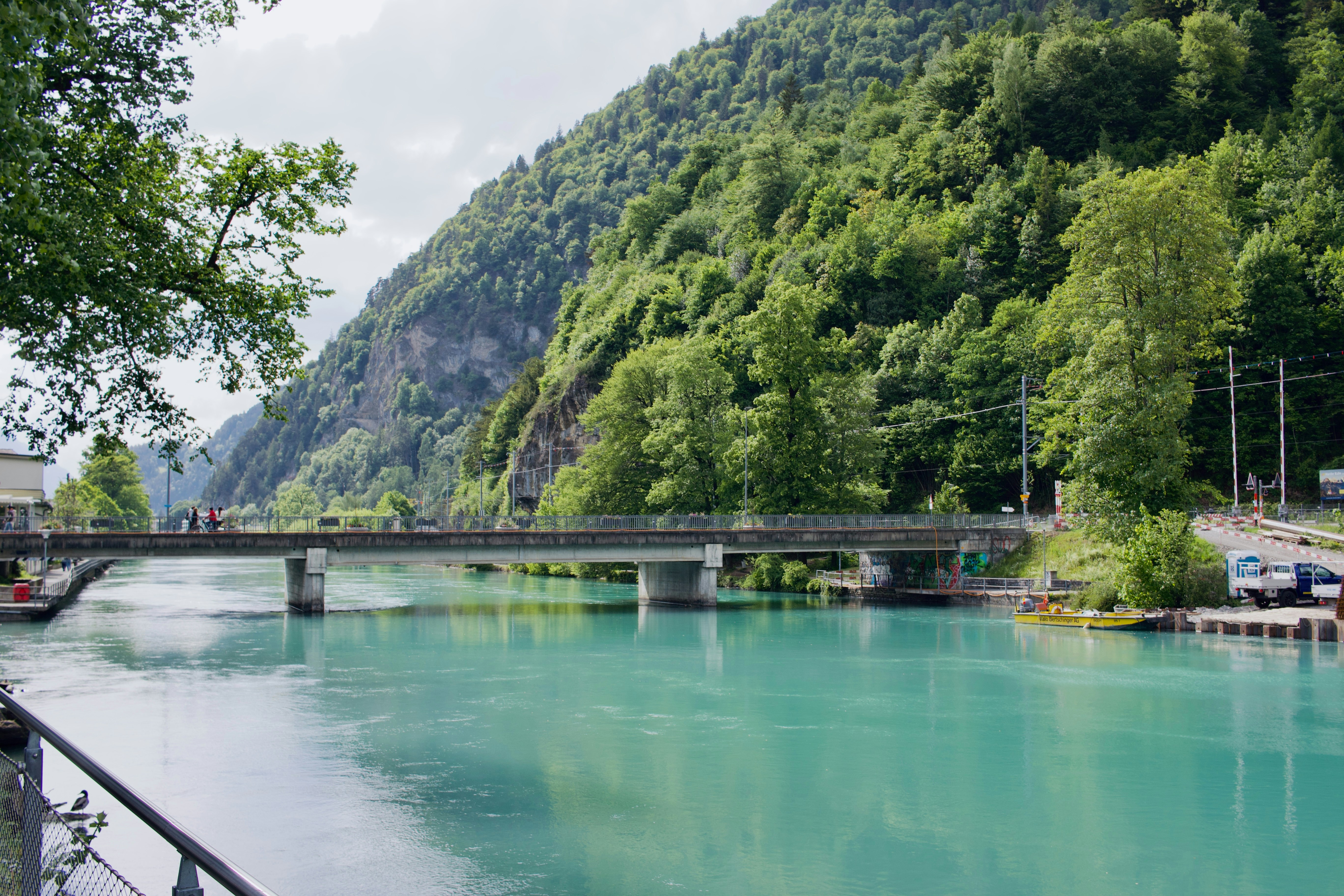 Emerald River Under a Quiet Concrete Span