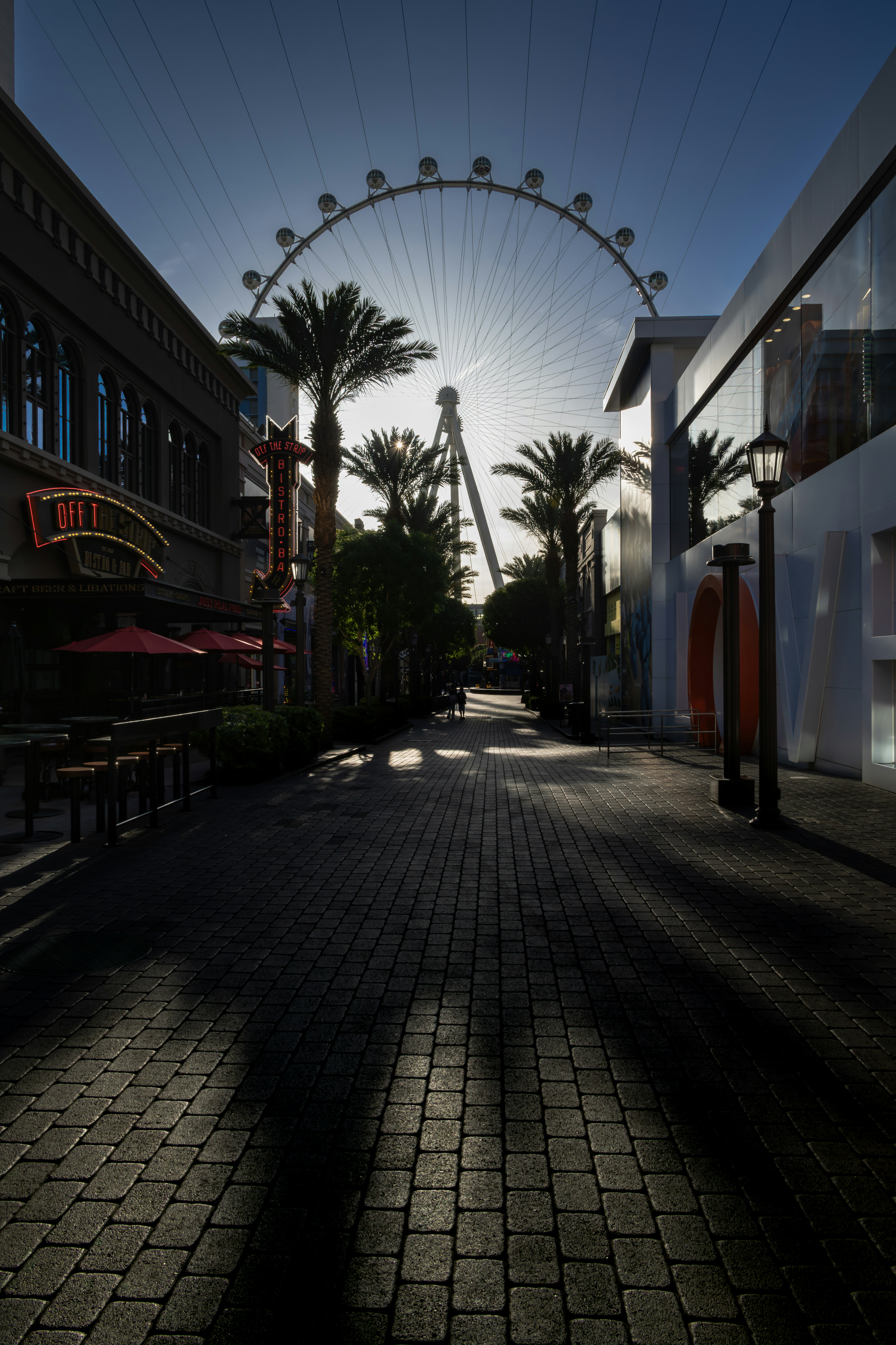 Skyward Ring: A Palm-Shaded Path Beneath the Eye of a Ferris Wheel