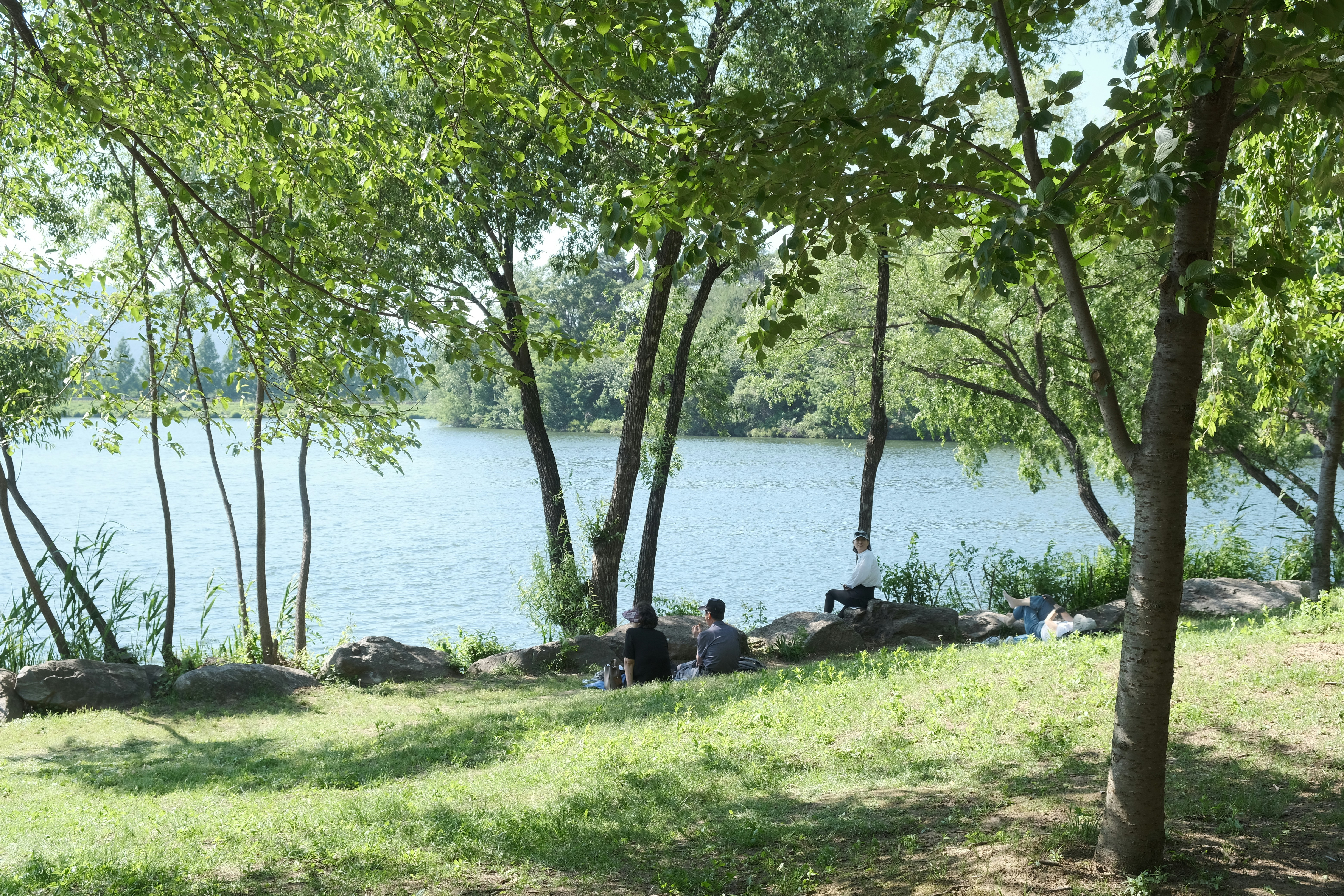 Sunlit Riverside Pause: People Soak in Shade by the Water