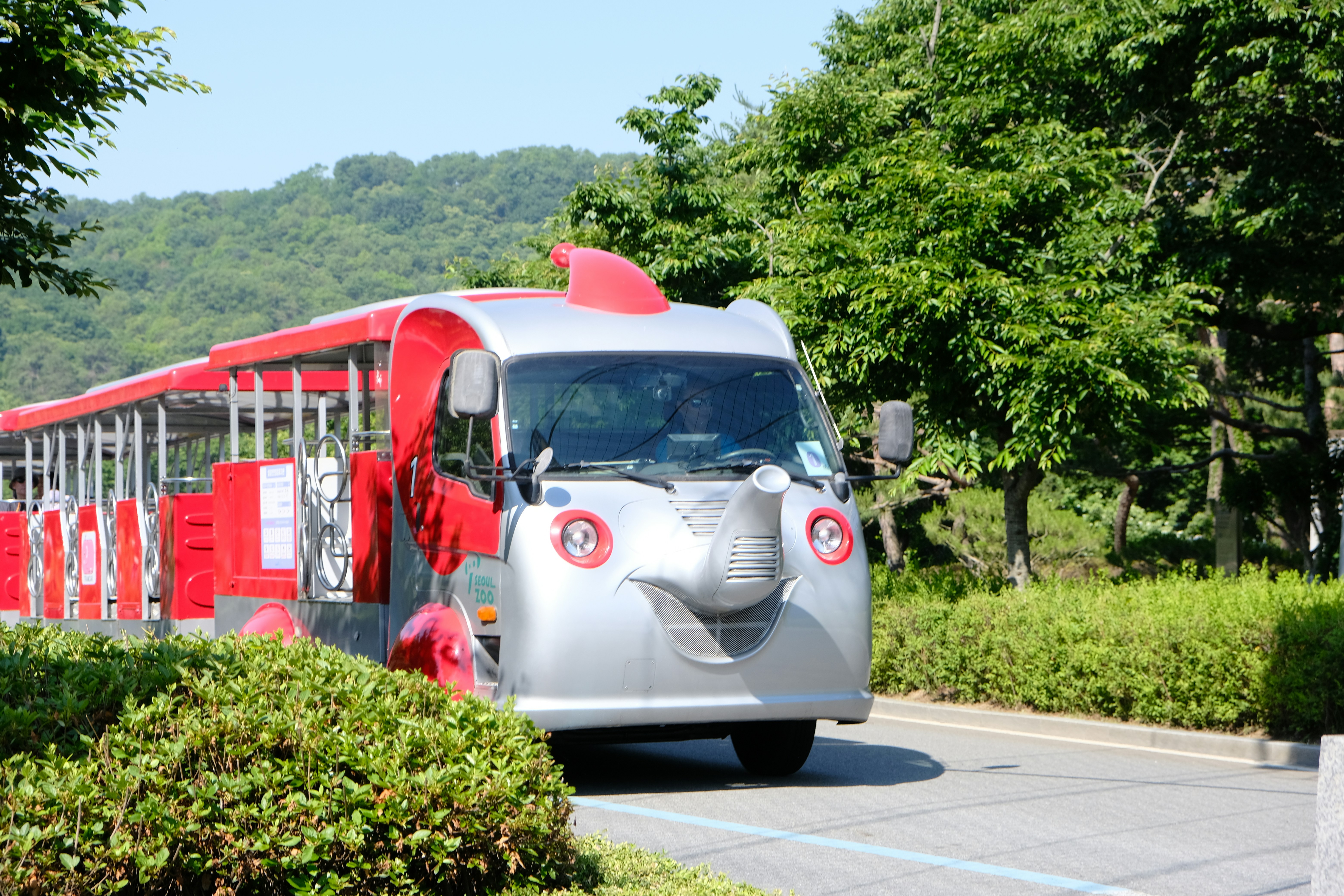 Toy Train on Rails: A Bright Red Miniature Conductor’s Parade