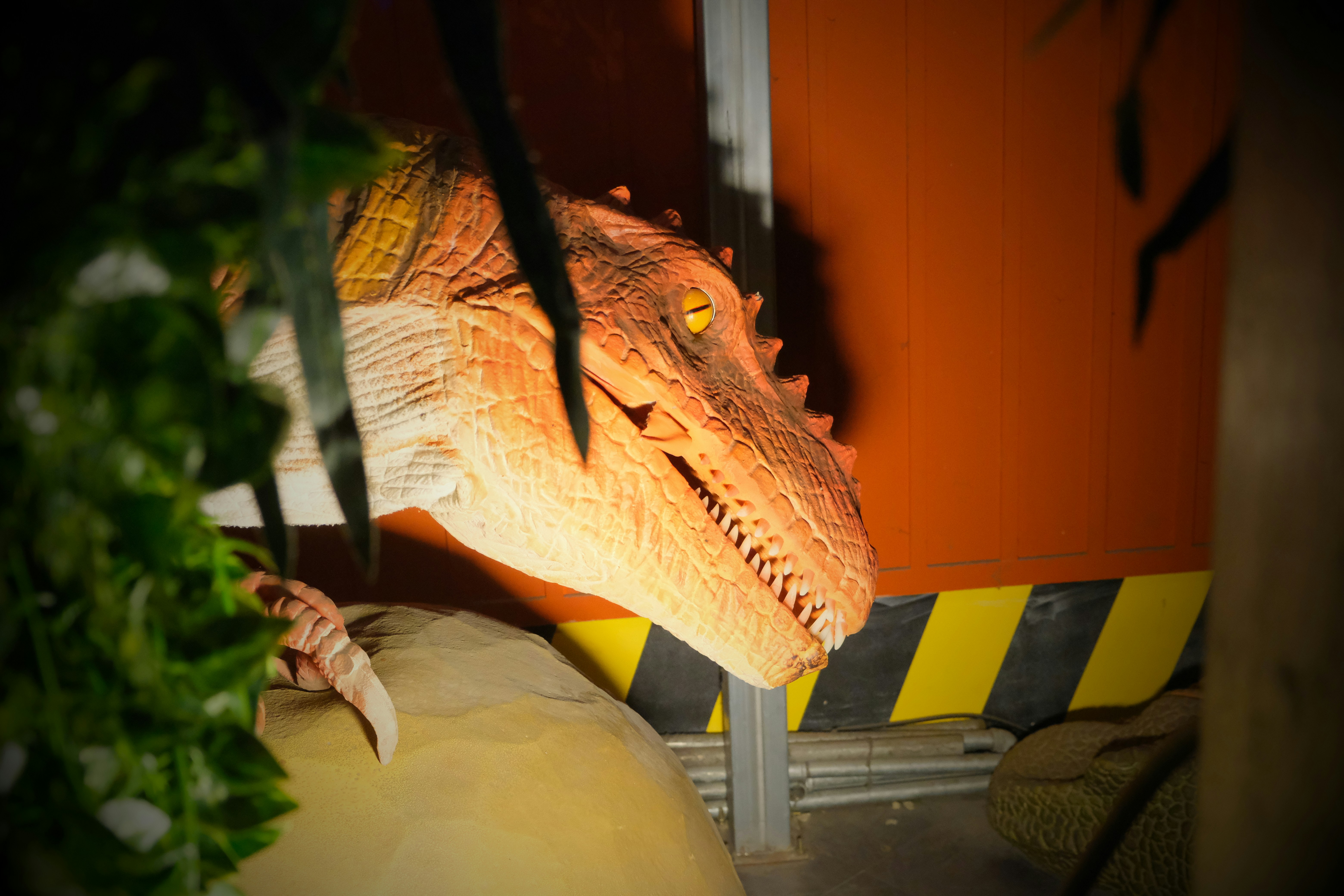 Crocodile Head Emerging from Shadows by Industrial Barrier