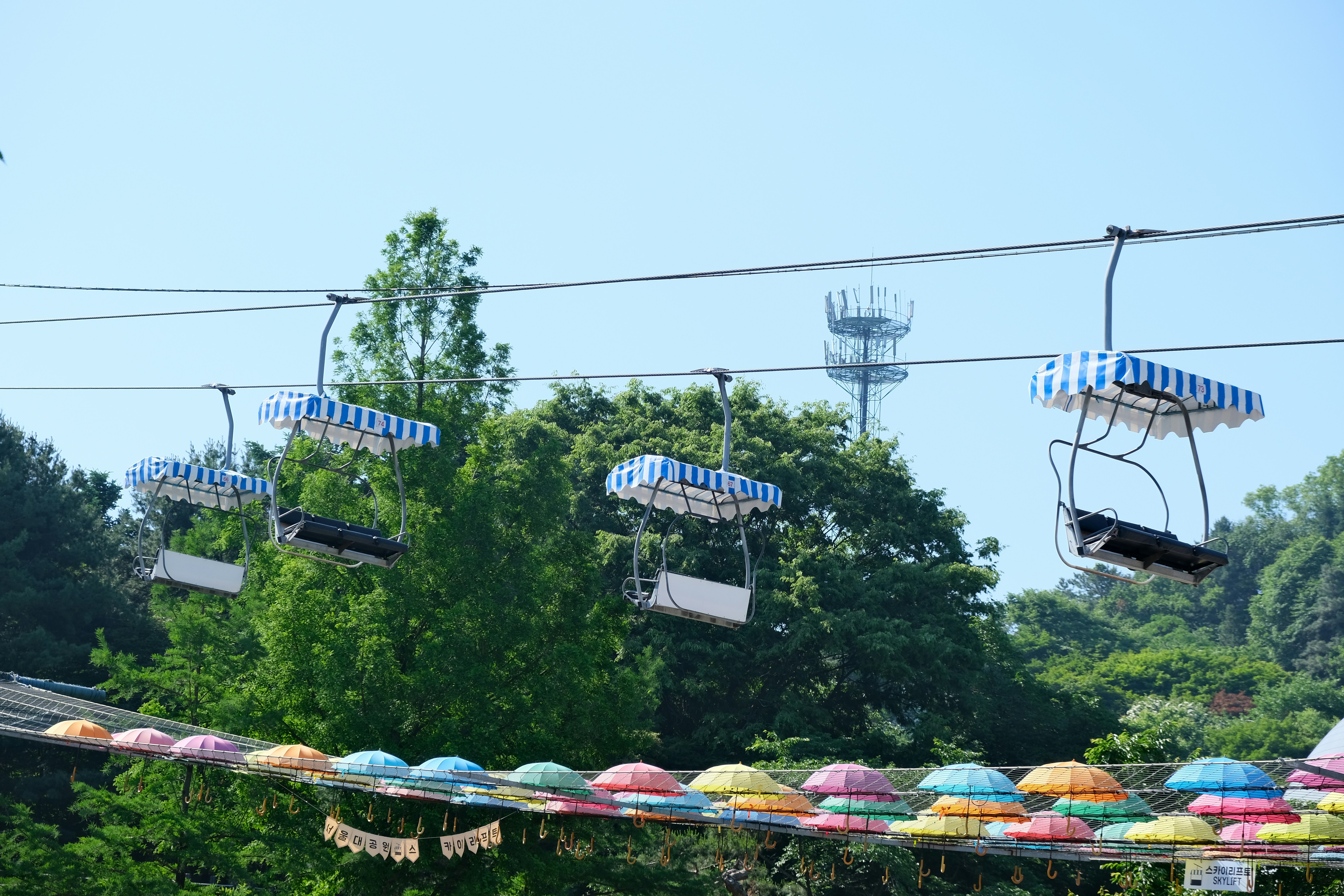 Cable cars glide above a row of colorful umbrellas in a market setting beneath blue sky.