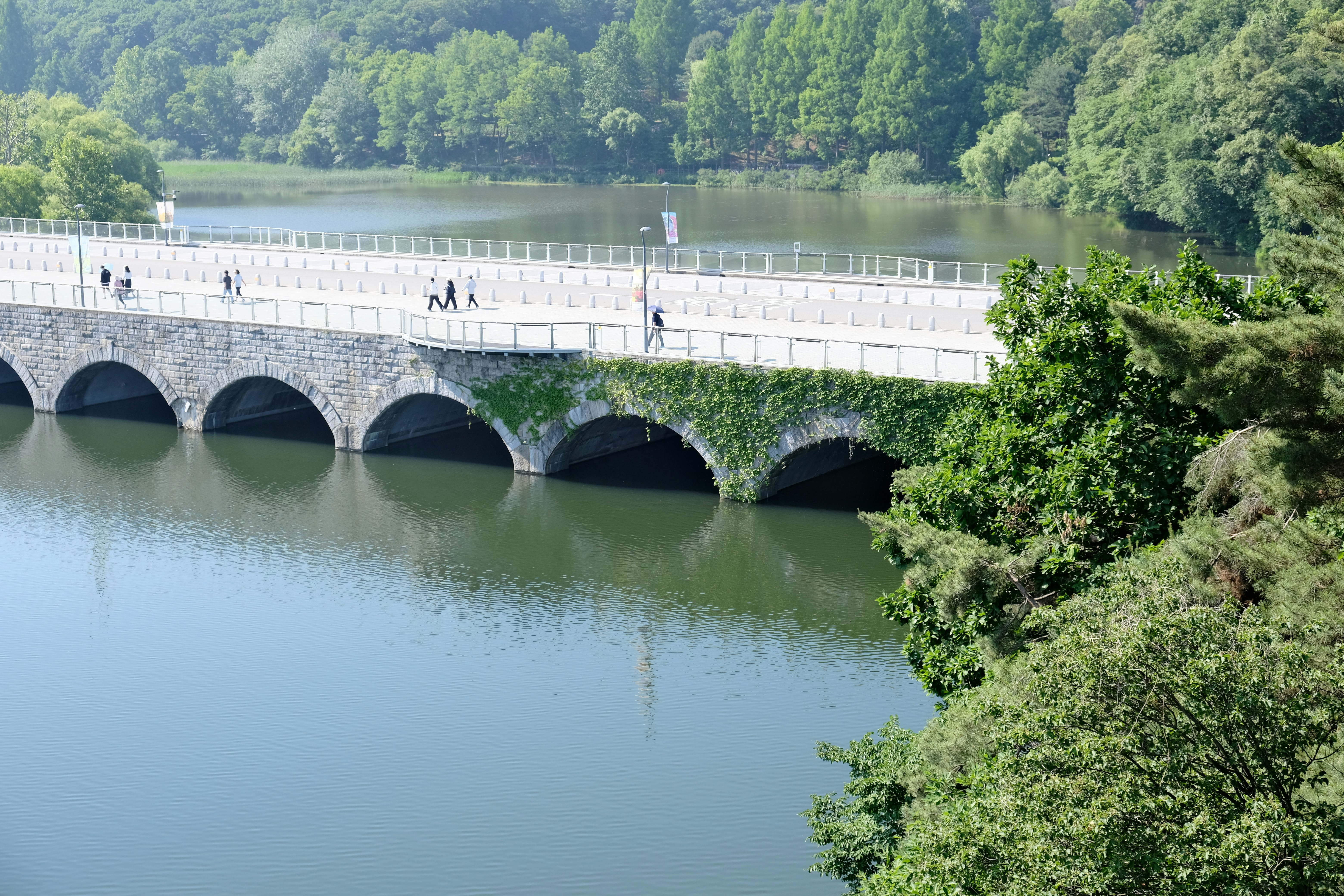 Bridge over Calm Waters: A Quiet Riverside Walk