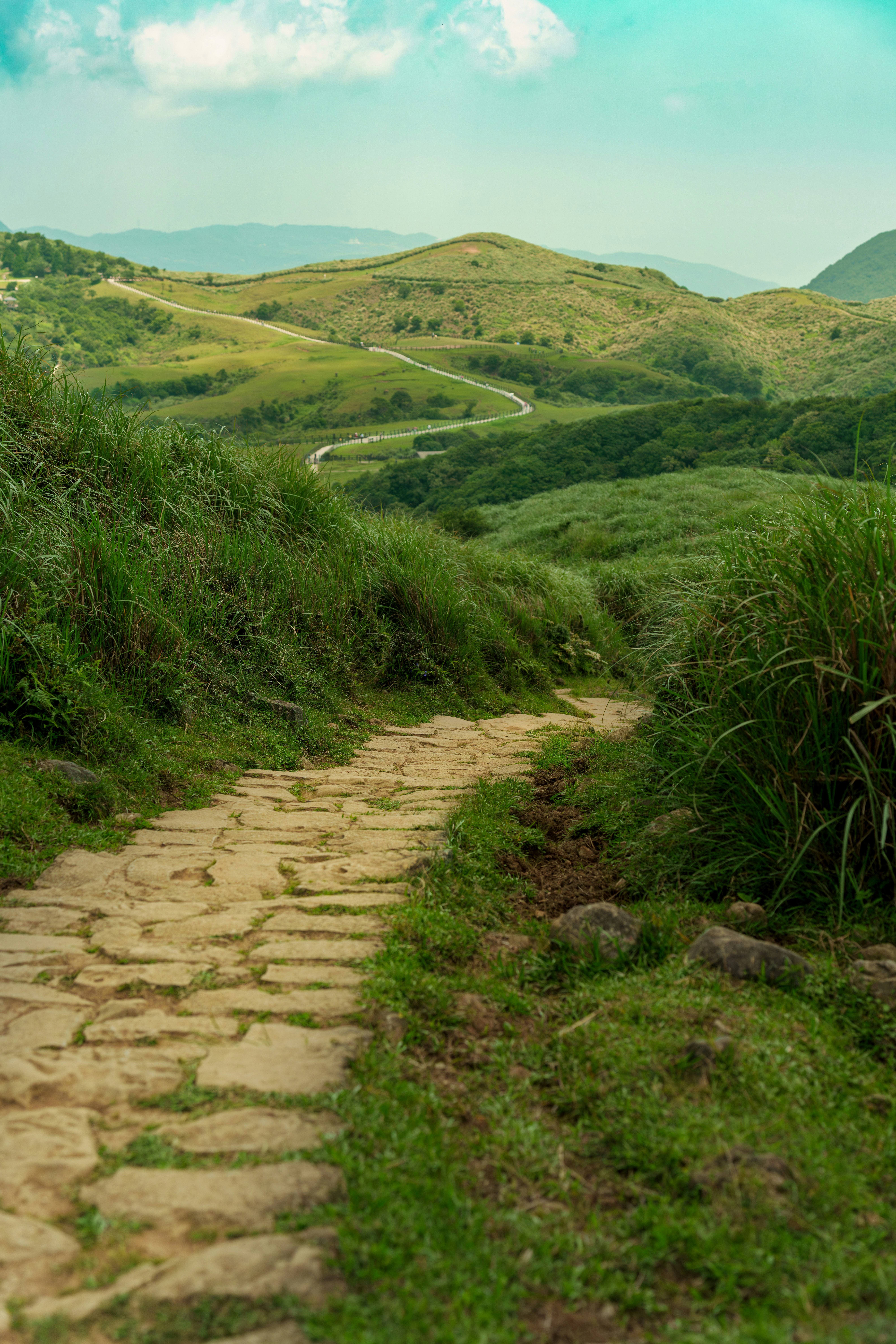 Winding Path Through Rolling Hills
