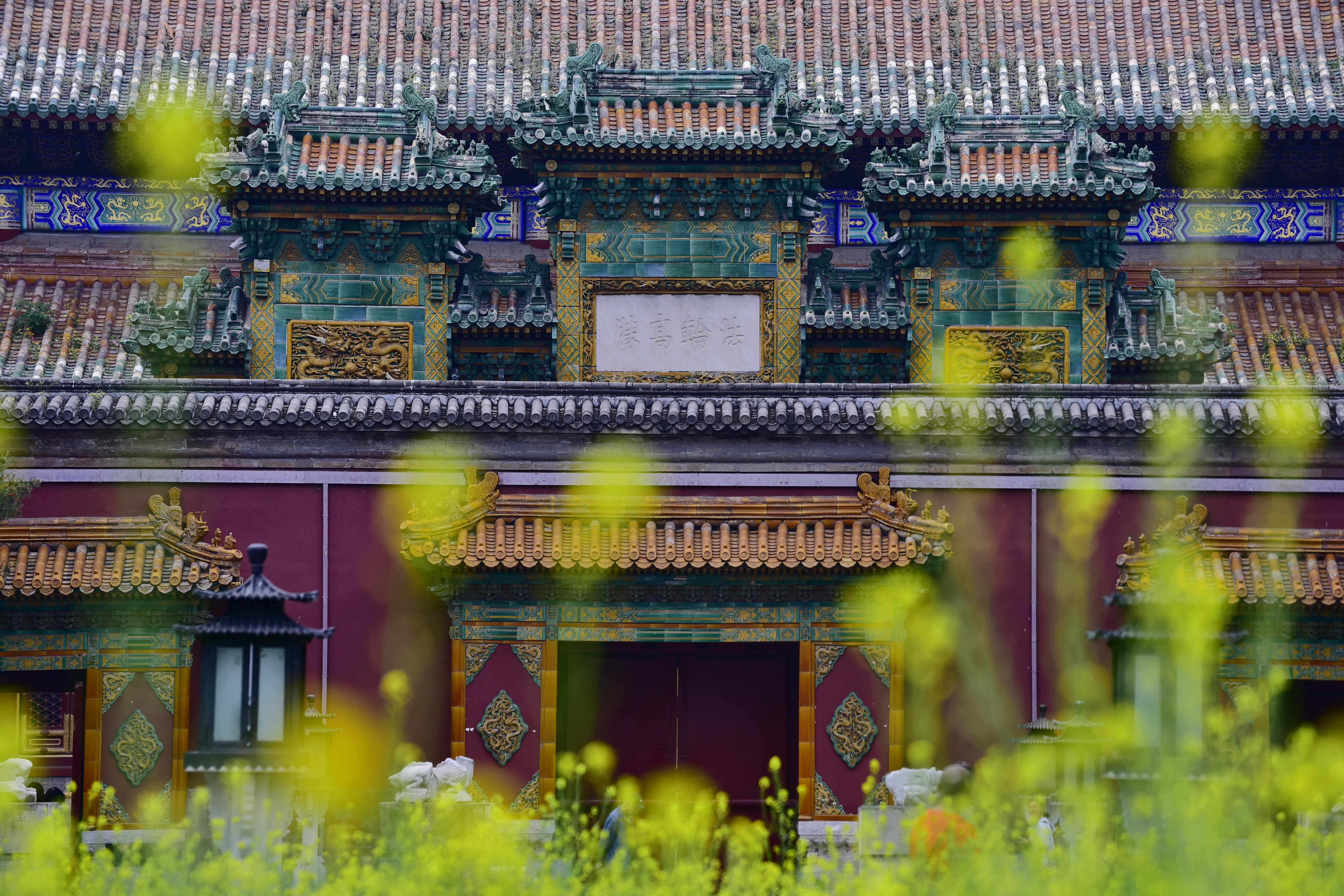Silent Gate: Colors of a Forbidden Palace Framed by Spring Glow