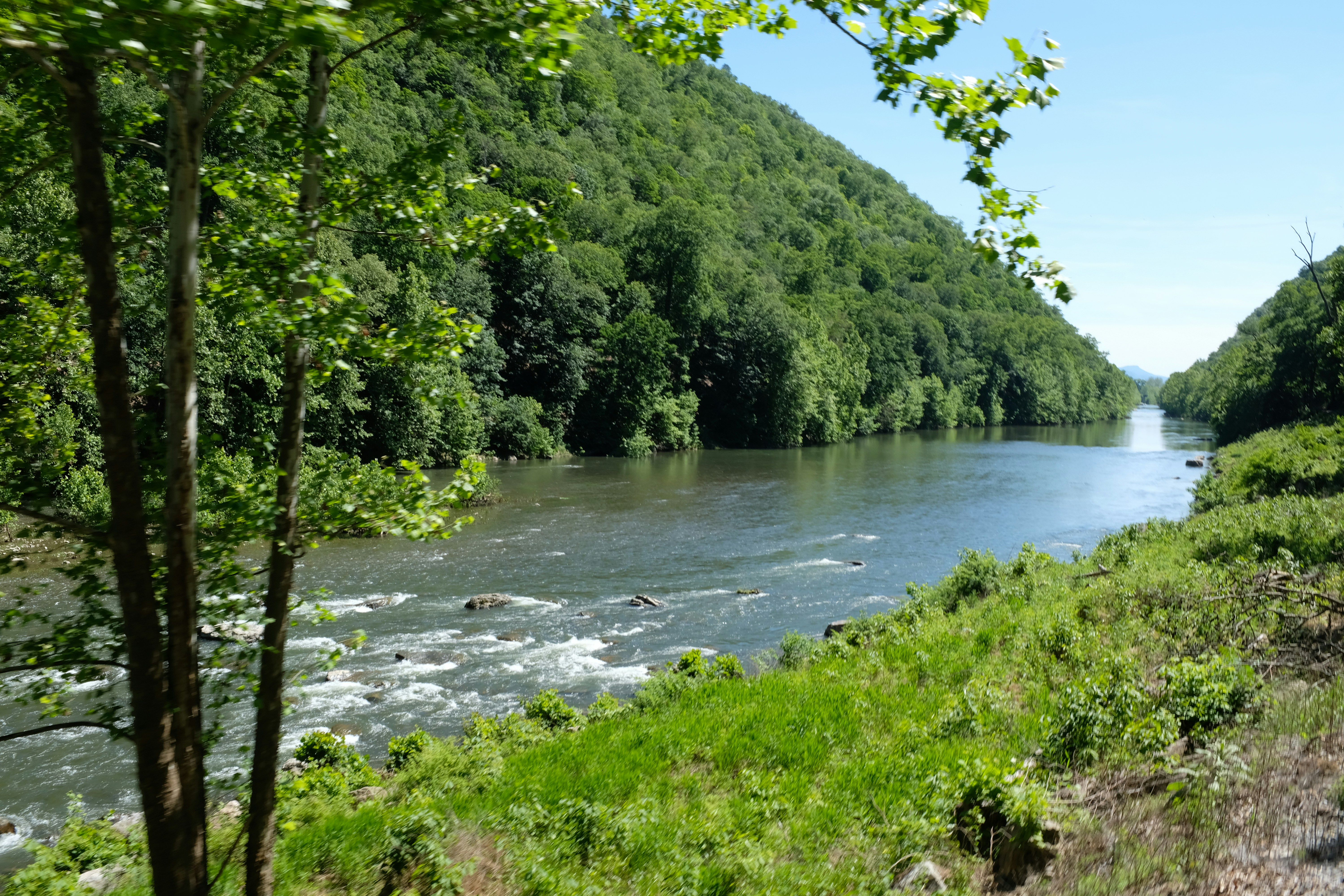Sunlit River Bend Surrounded by Green Crest