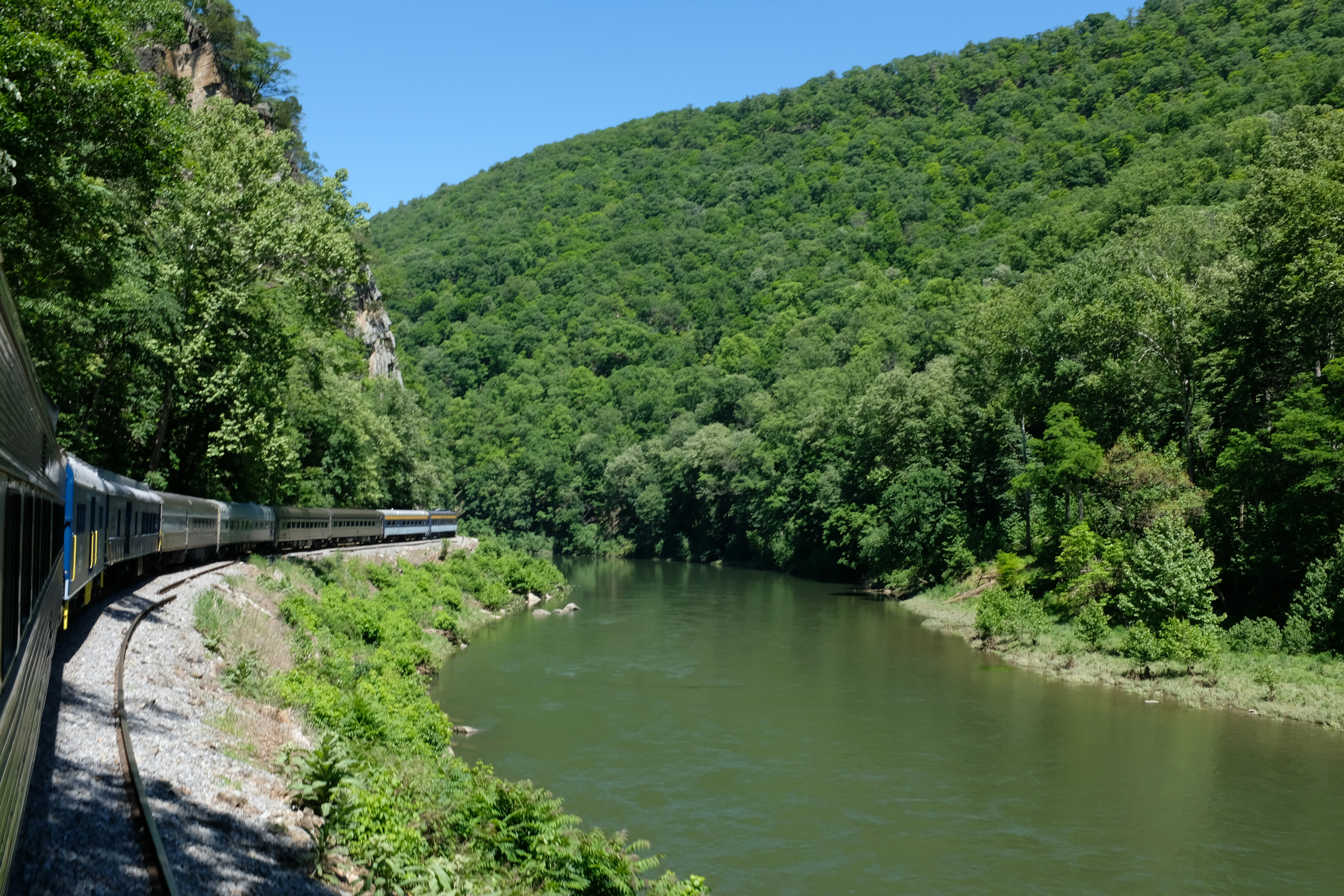 Vineyard of Steel and River: A Scenic Rail Ride Through Forested Gorges