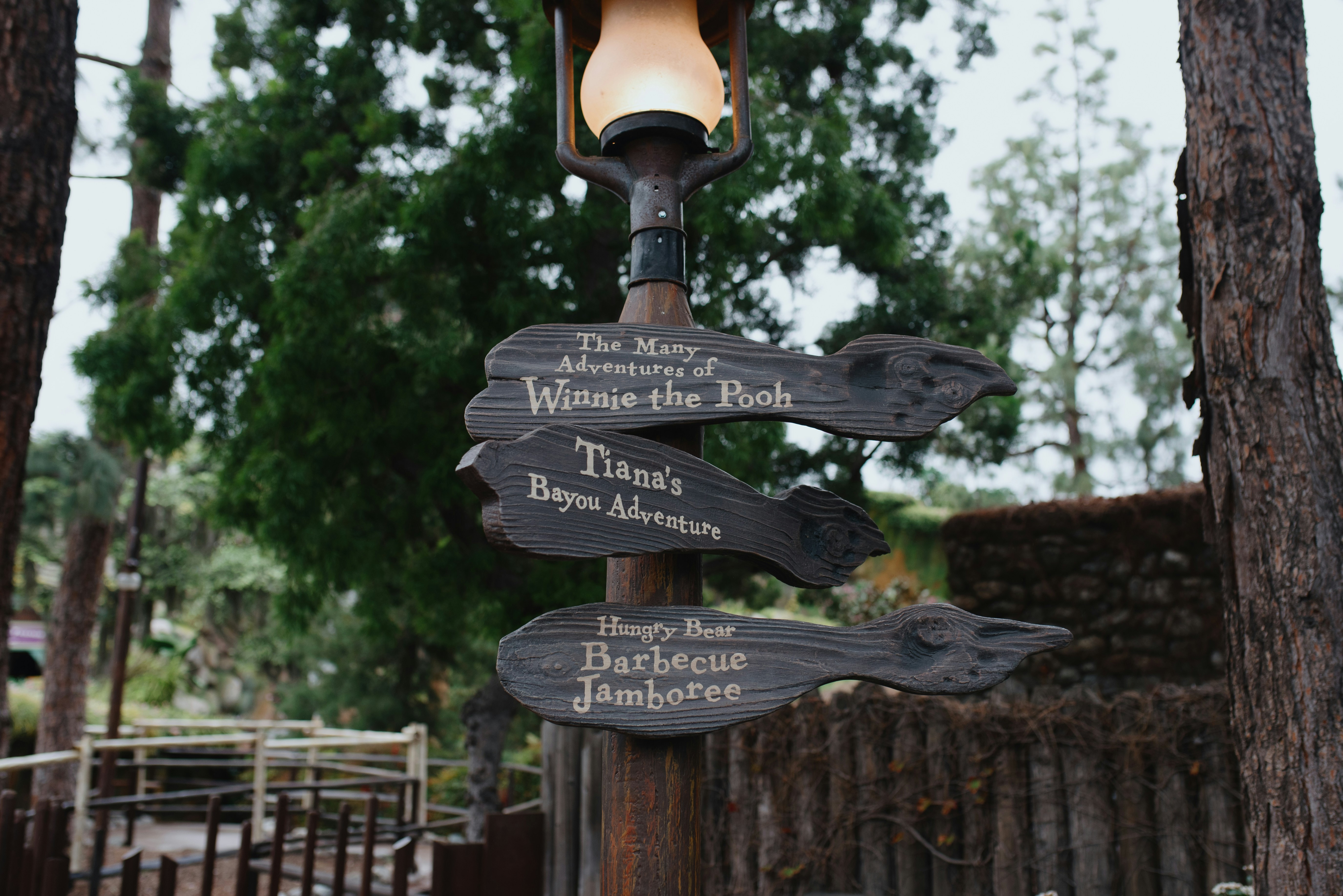 Winnie the Pooh Trail Signs in a Shaded Forest Corner