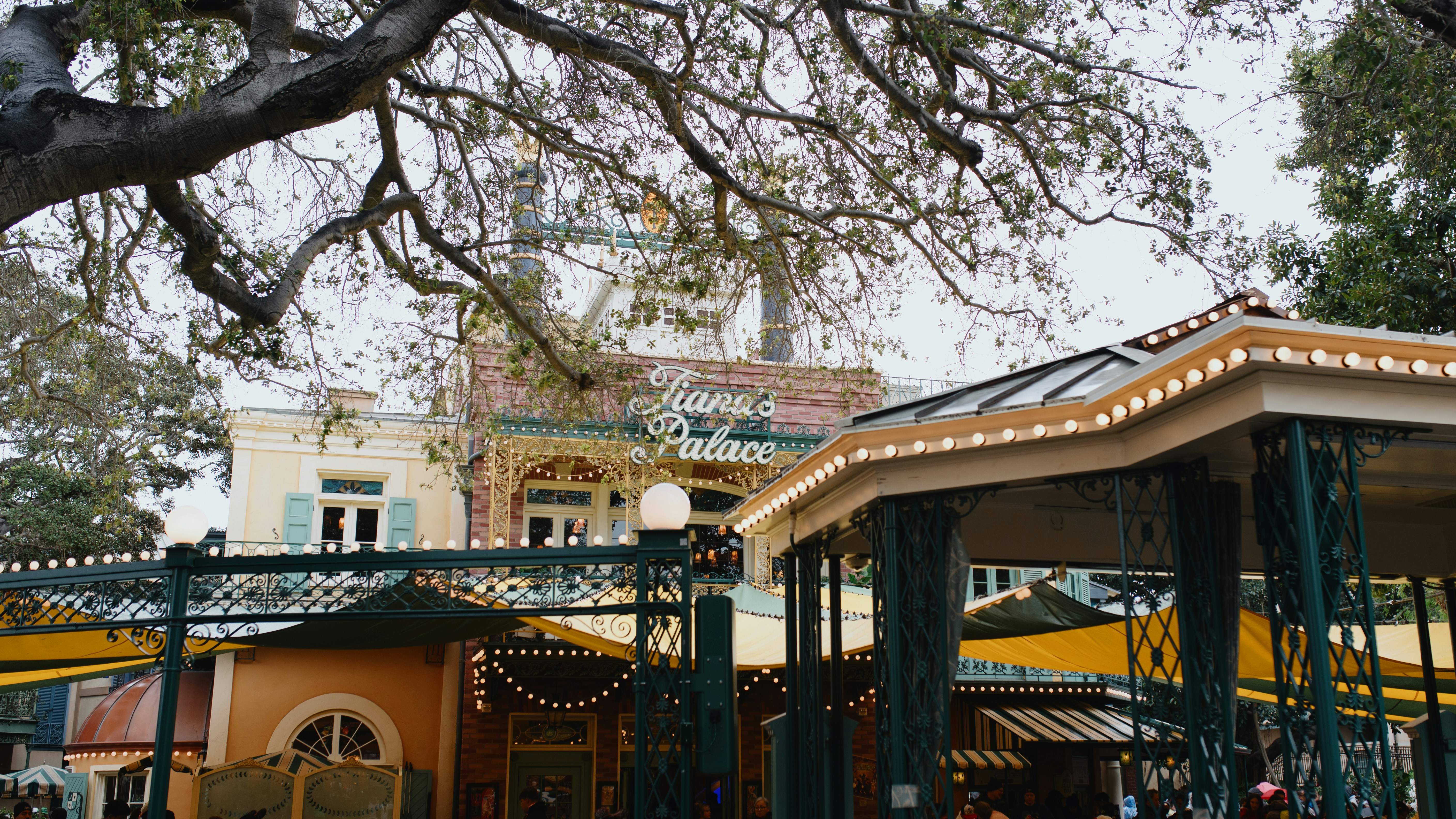Sunlit Courtyard at Tiana’s Palace