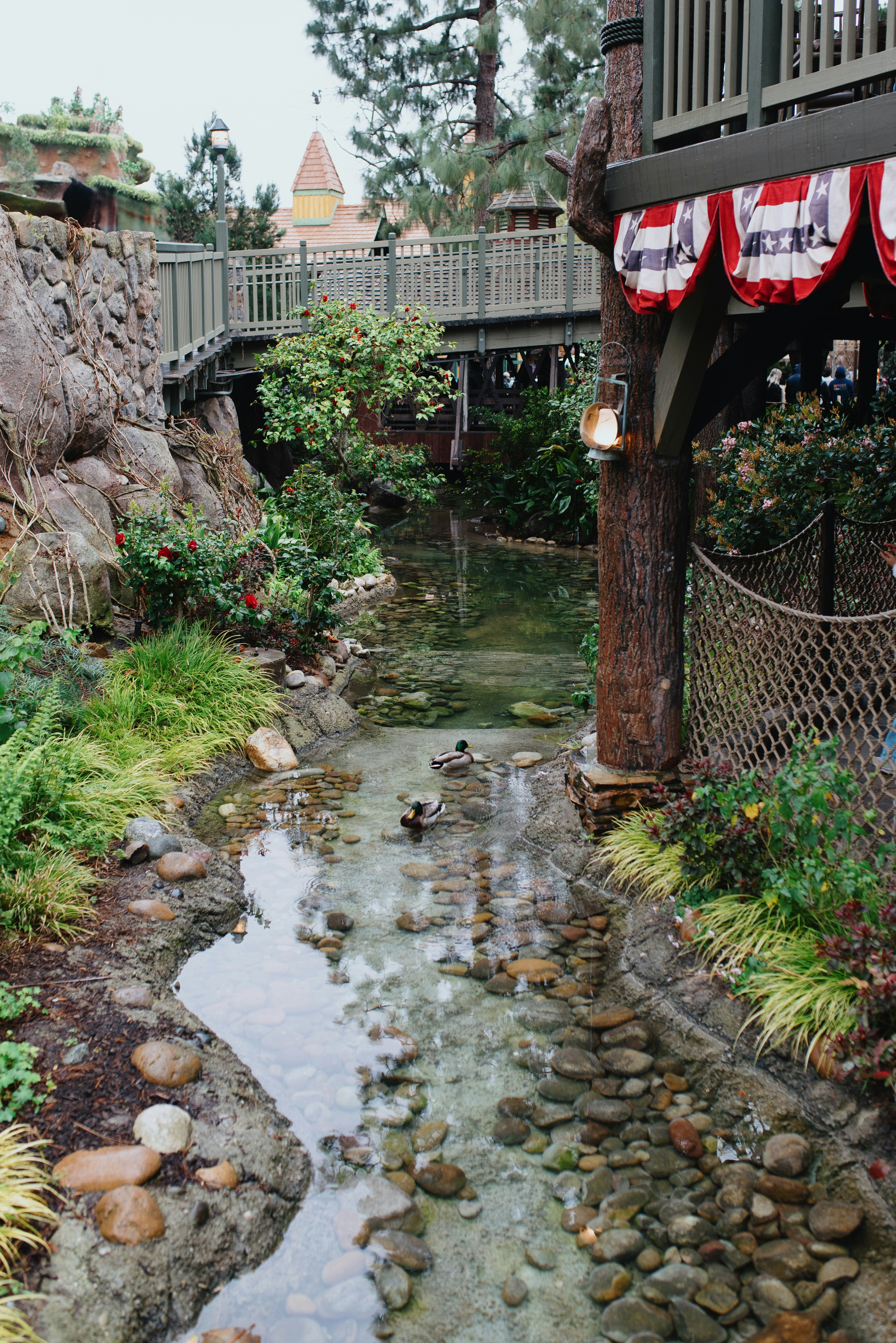 Bridge Over a Tranquil Koi Stream in a Themed Garden