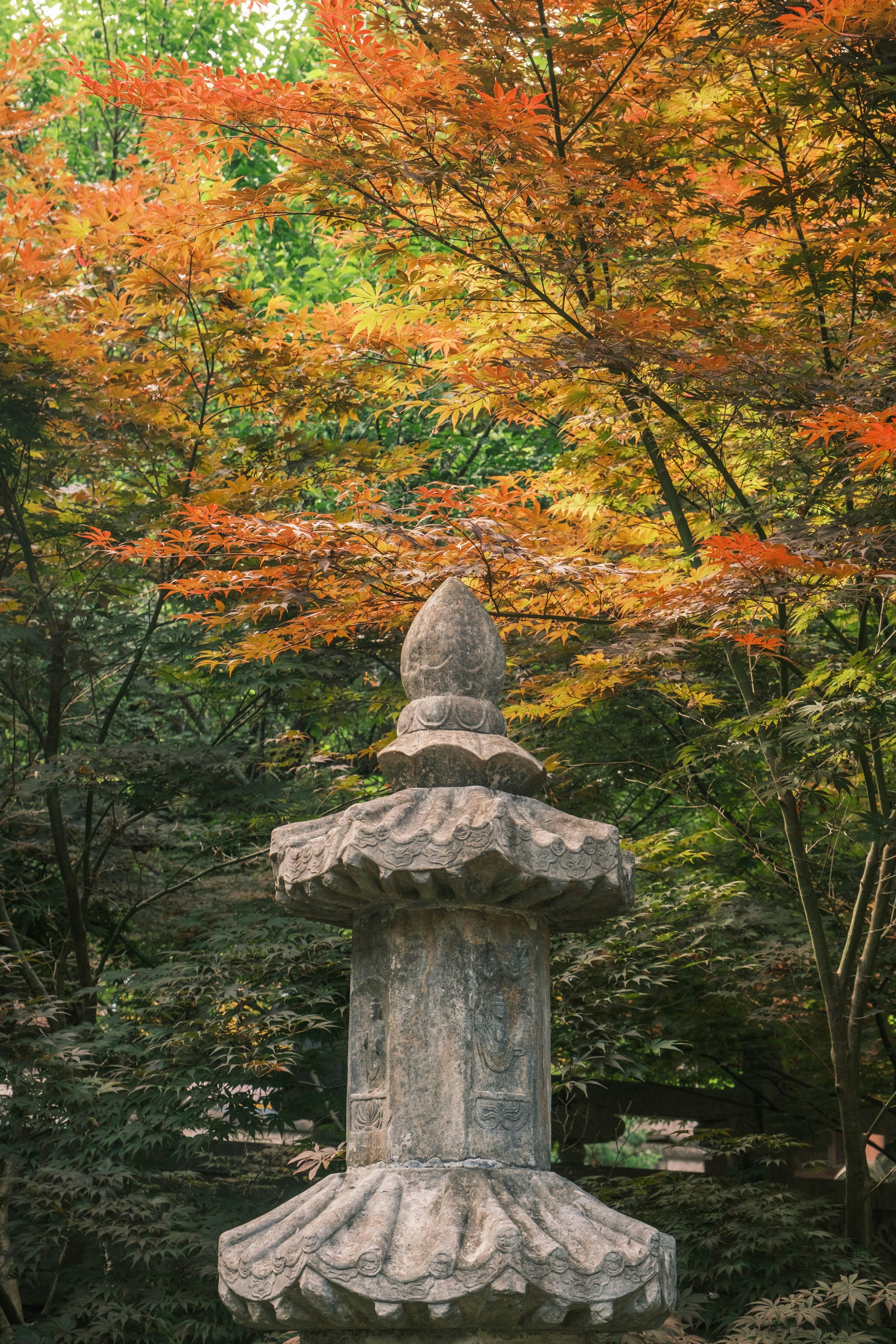 Stone Lantern amid Autumn Flame
