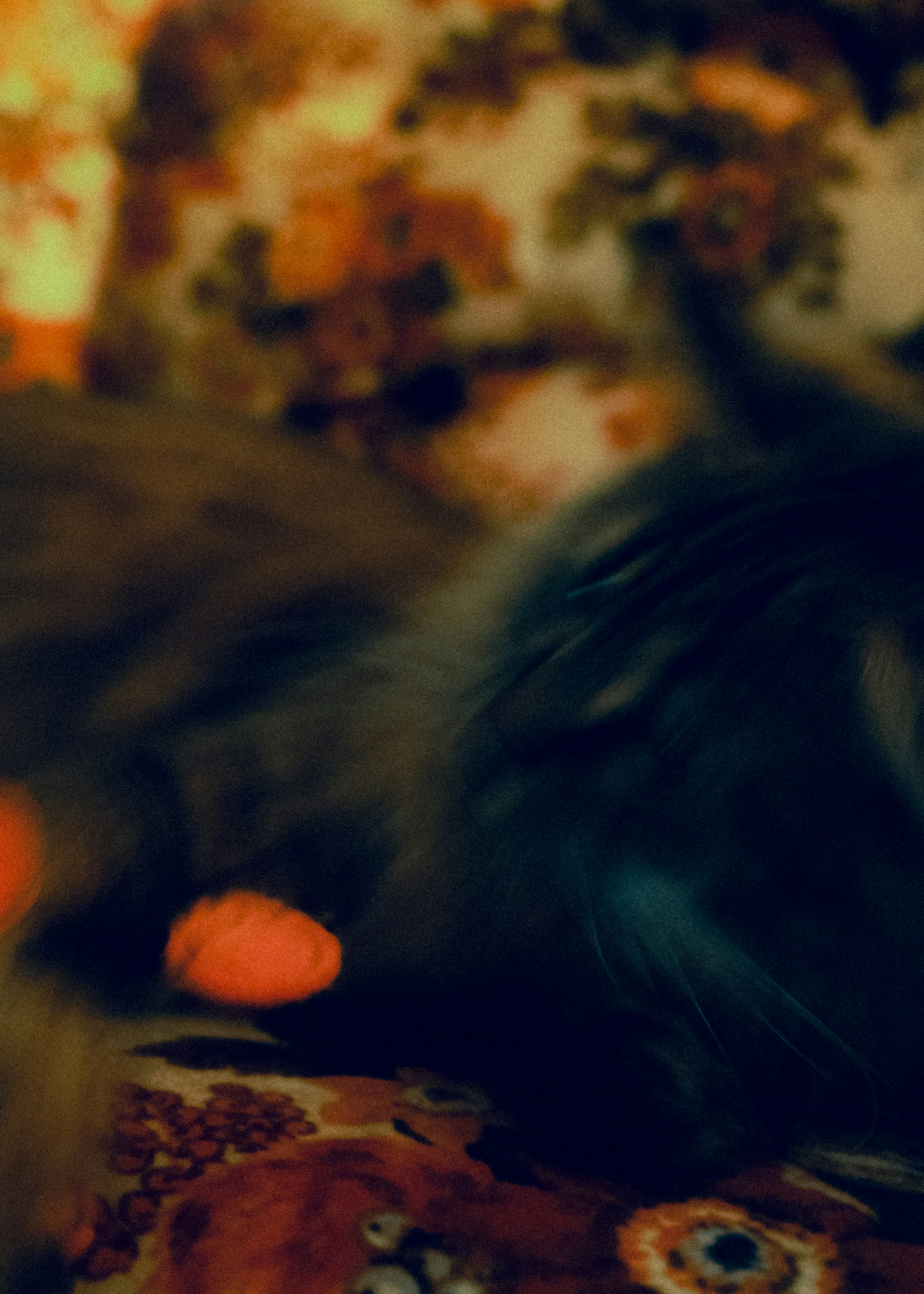 Cozy Blur: A Furry Silhouette Resting on a Floral Rug