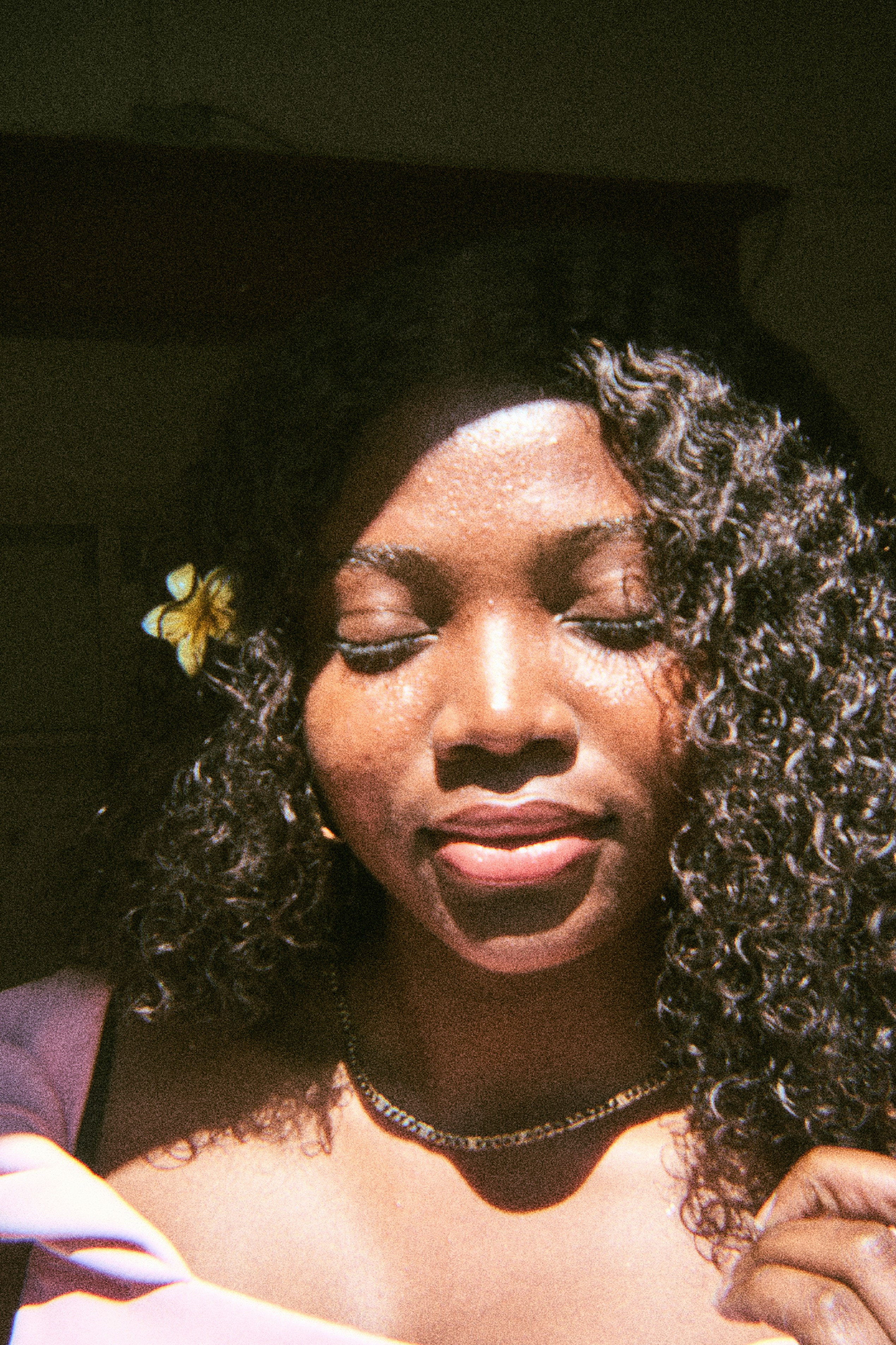 Sunlit Serenade: A Quiet Moment with Soft Golden Light