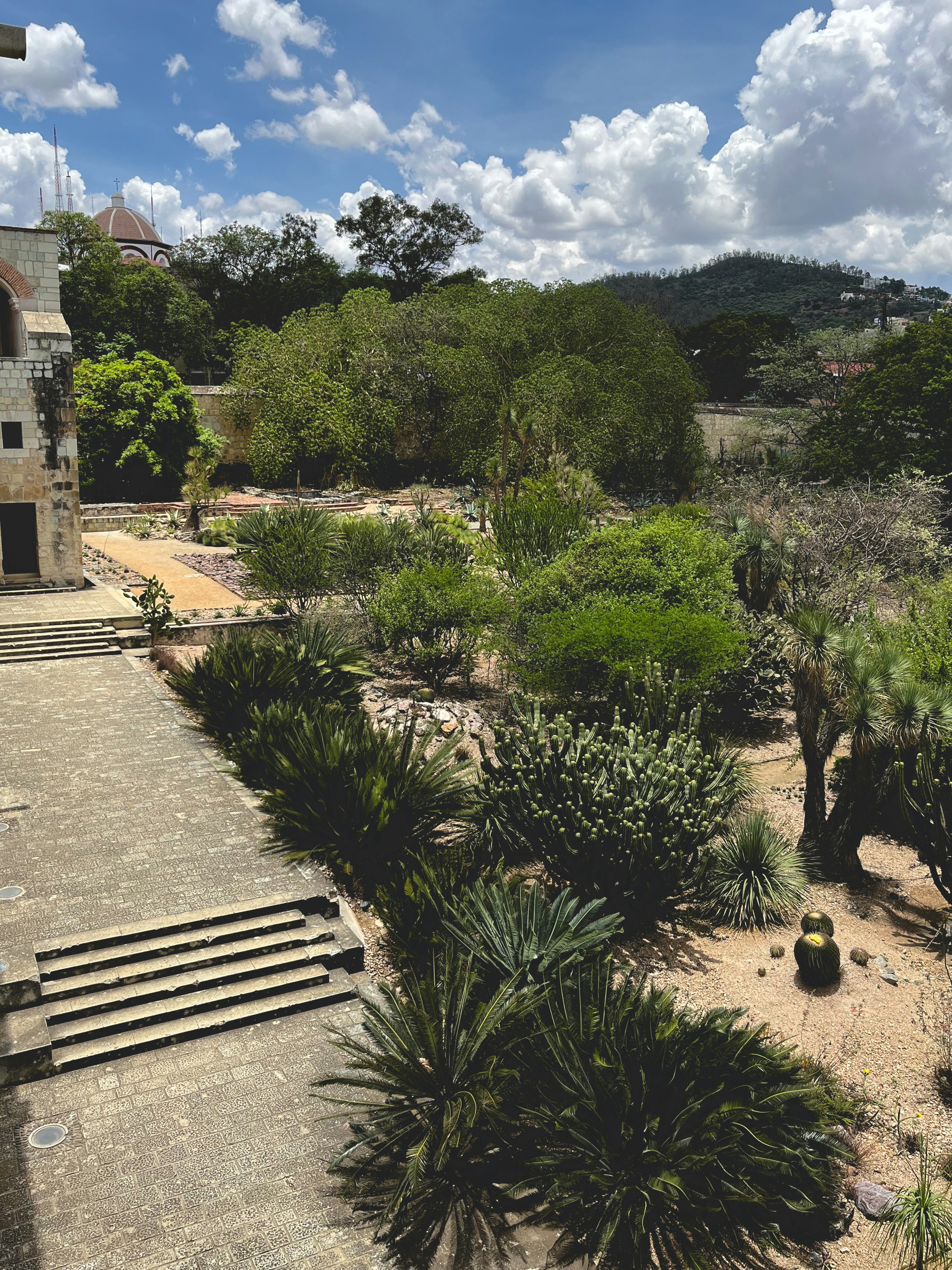 Terraced Courtyard with Desert Flora under a Clouded Sky