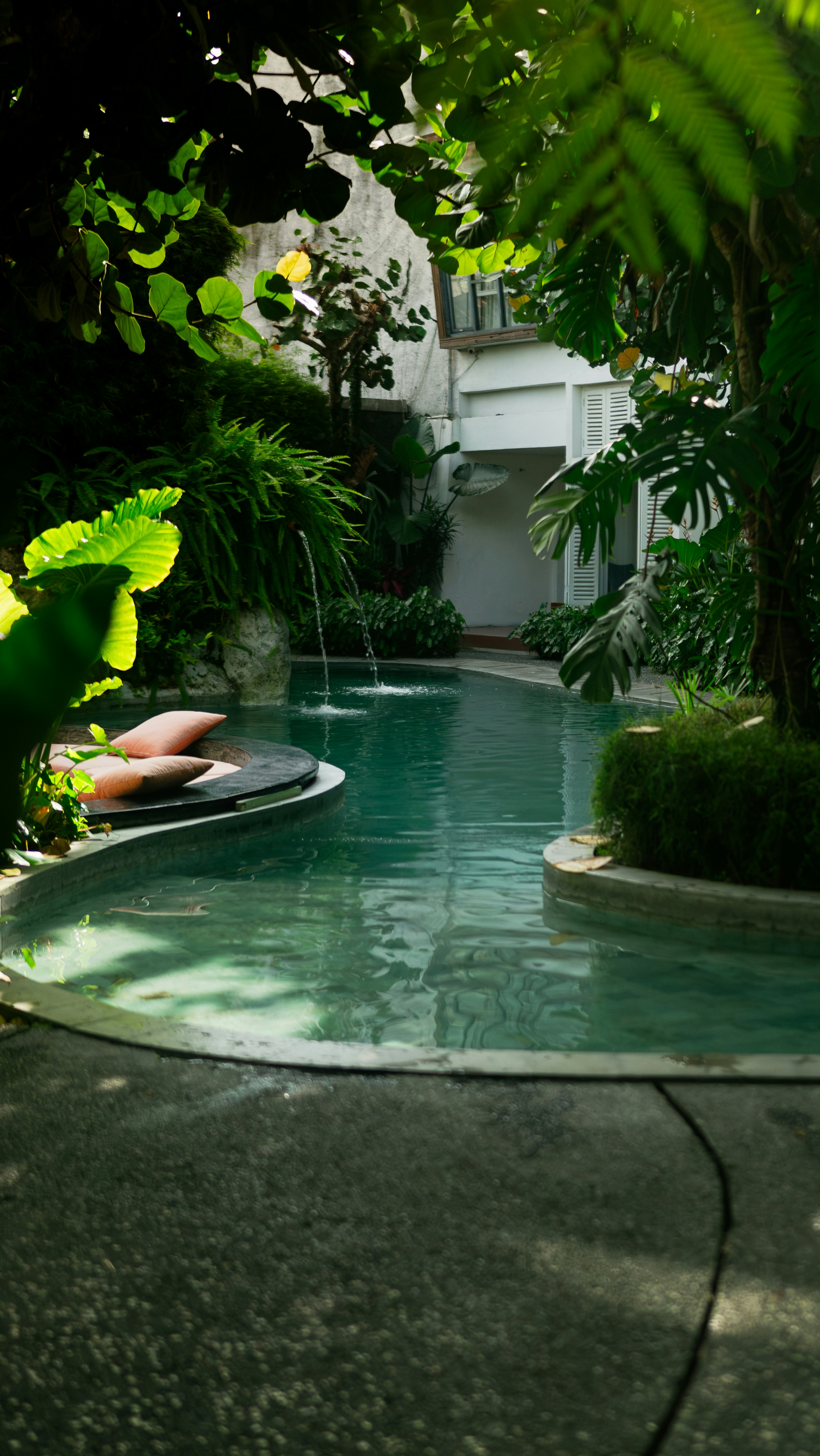 Hidden Oasis: a sunlit pool bordered by tropical leaves