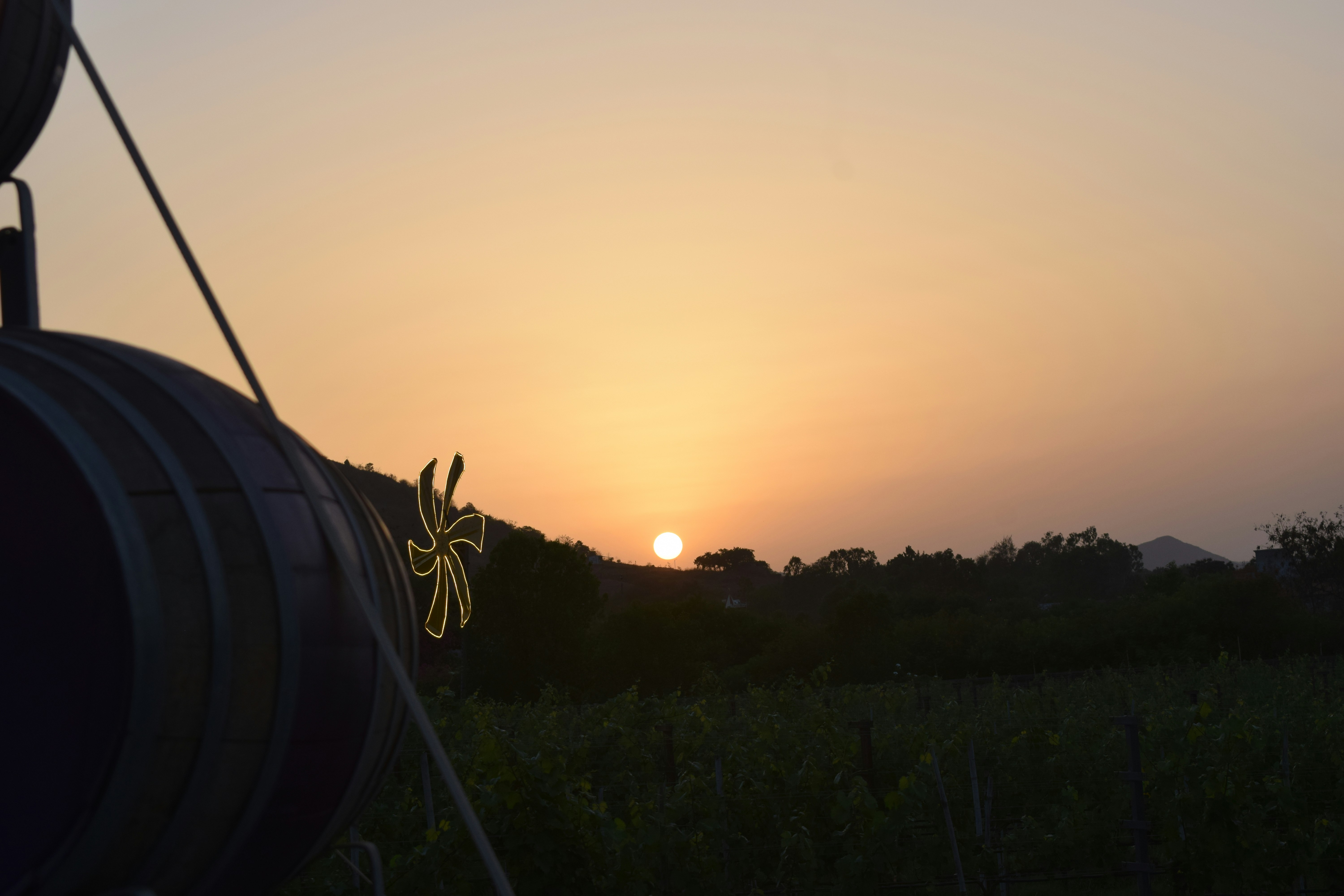 Sunlit Horizon over a Barrel of Quiet Silence