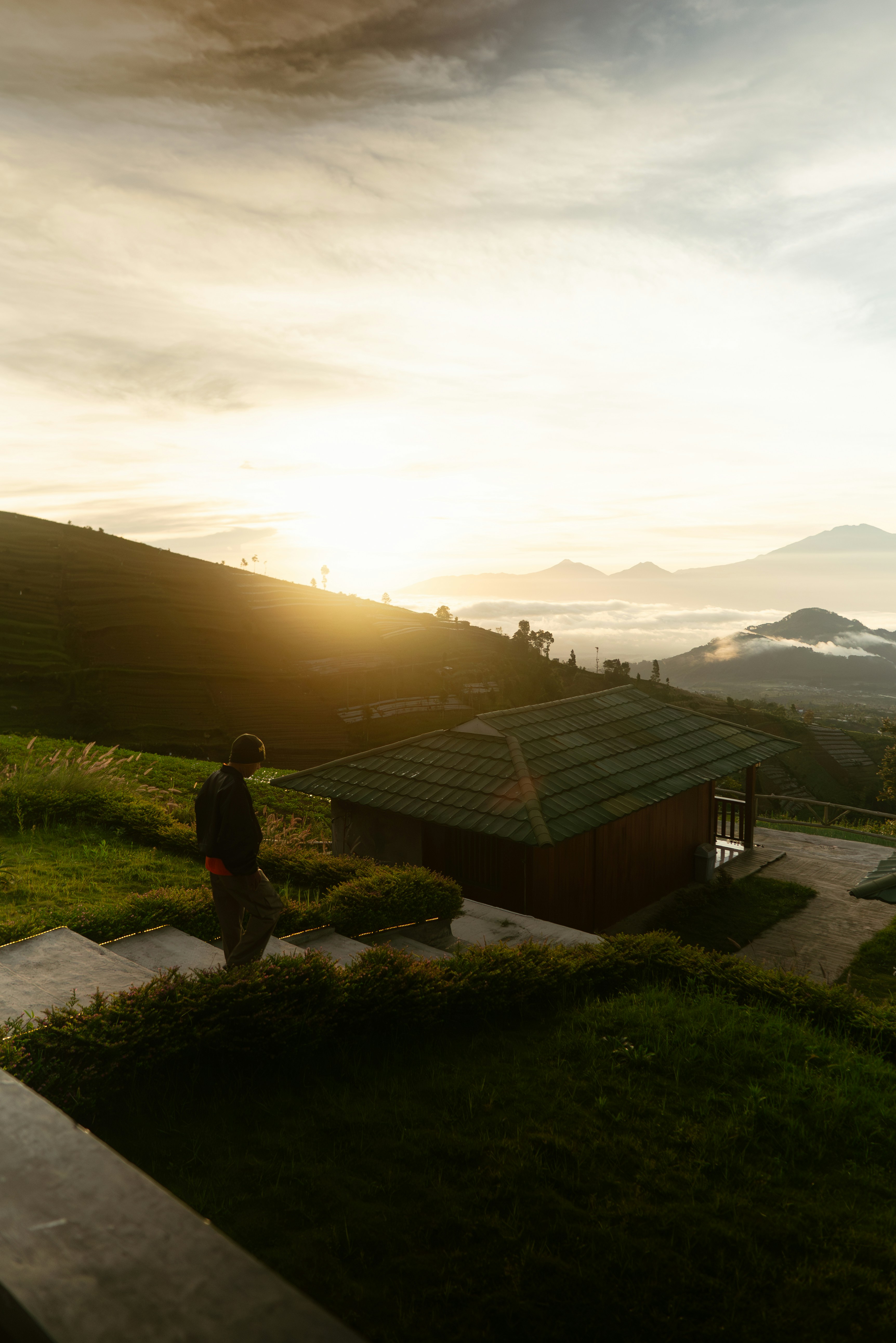Sunrise Steps: A lone hiker descends toward fog-kissed terraces