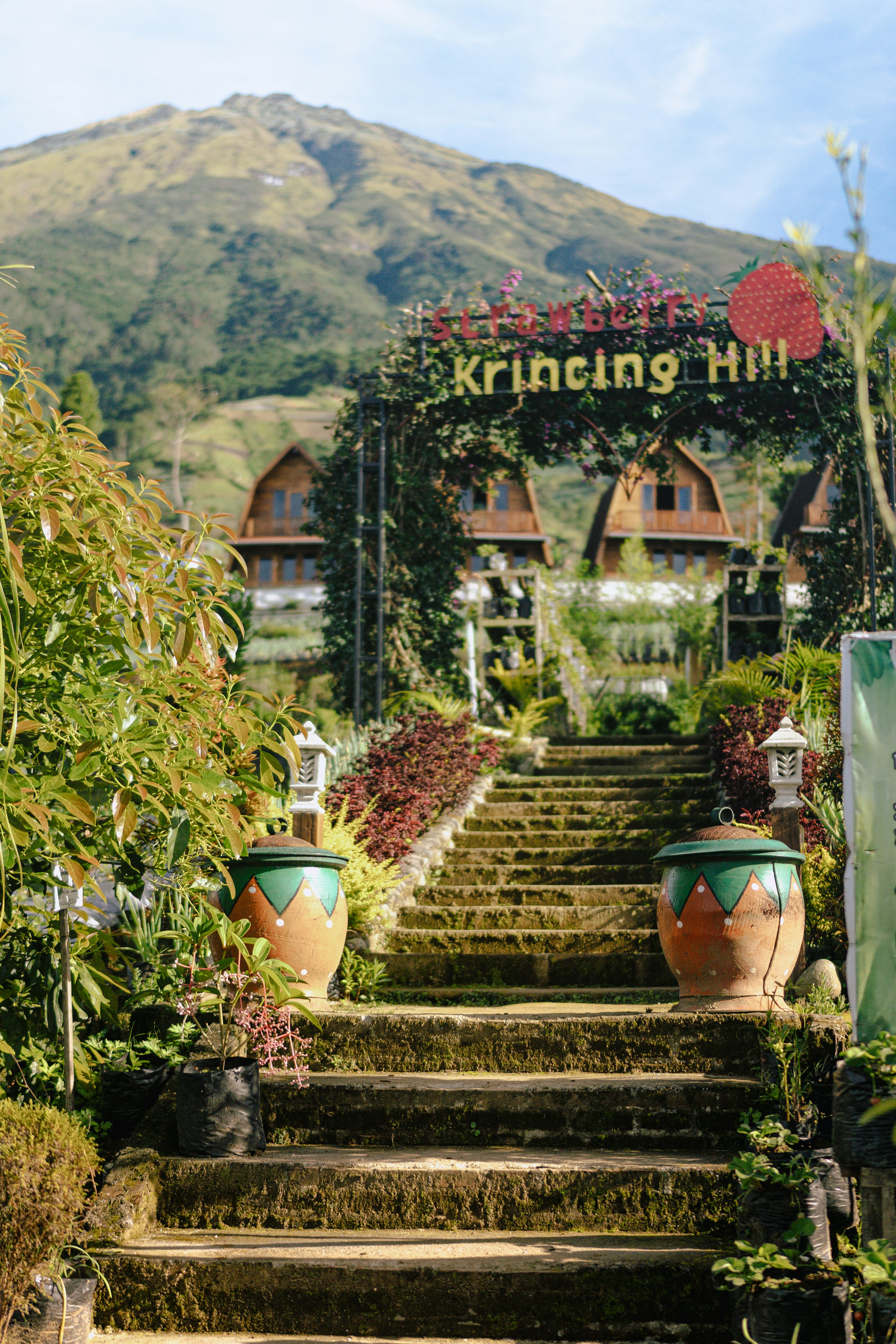Arched Welcome Over Green Steps at Krinching Hill Garden