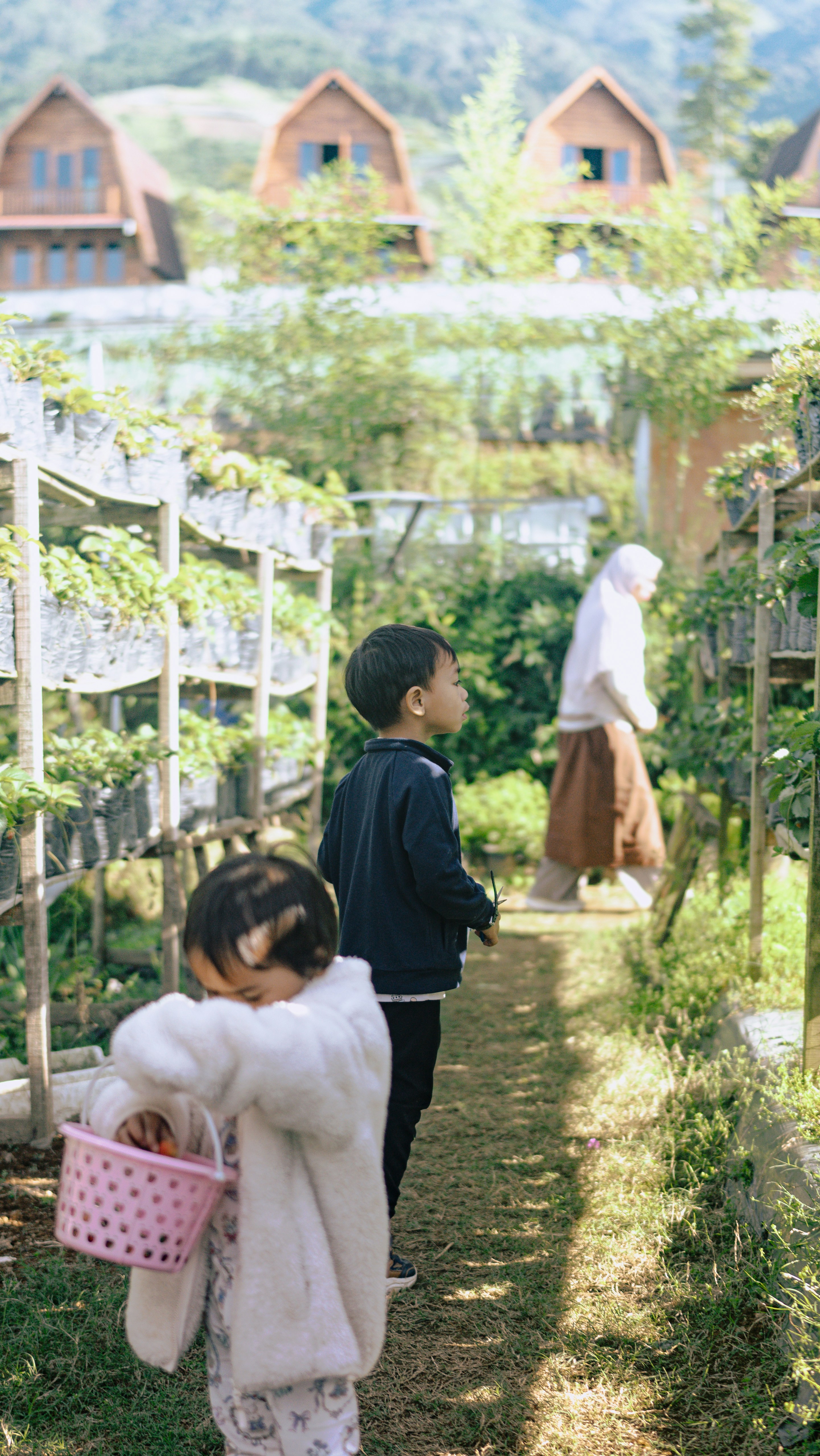 Children in a Sunlit Farm Path Among Greenhouse Racks