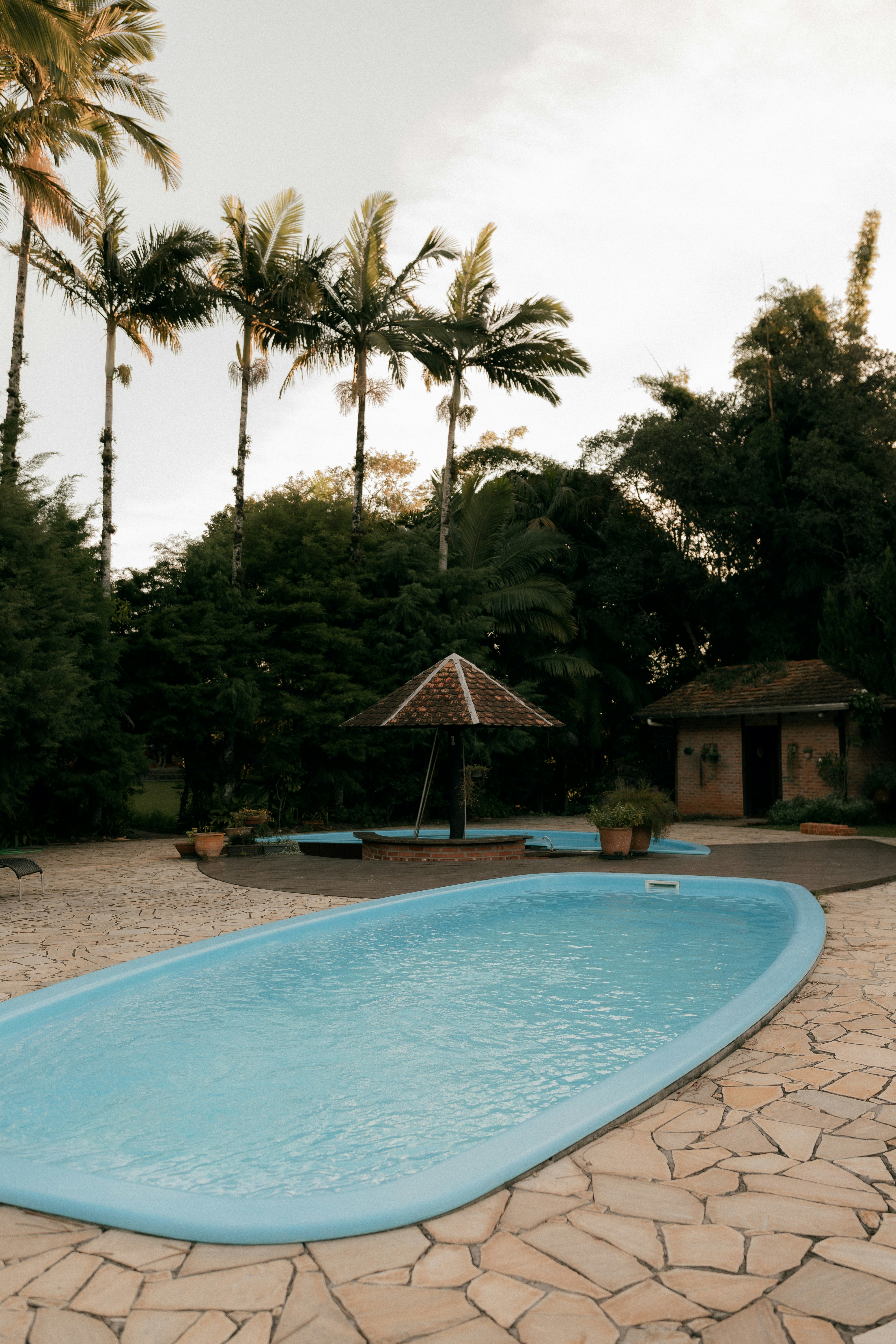 A blue swimming pool, palm trees, and a stone patio.