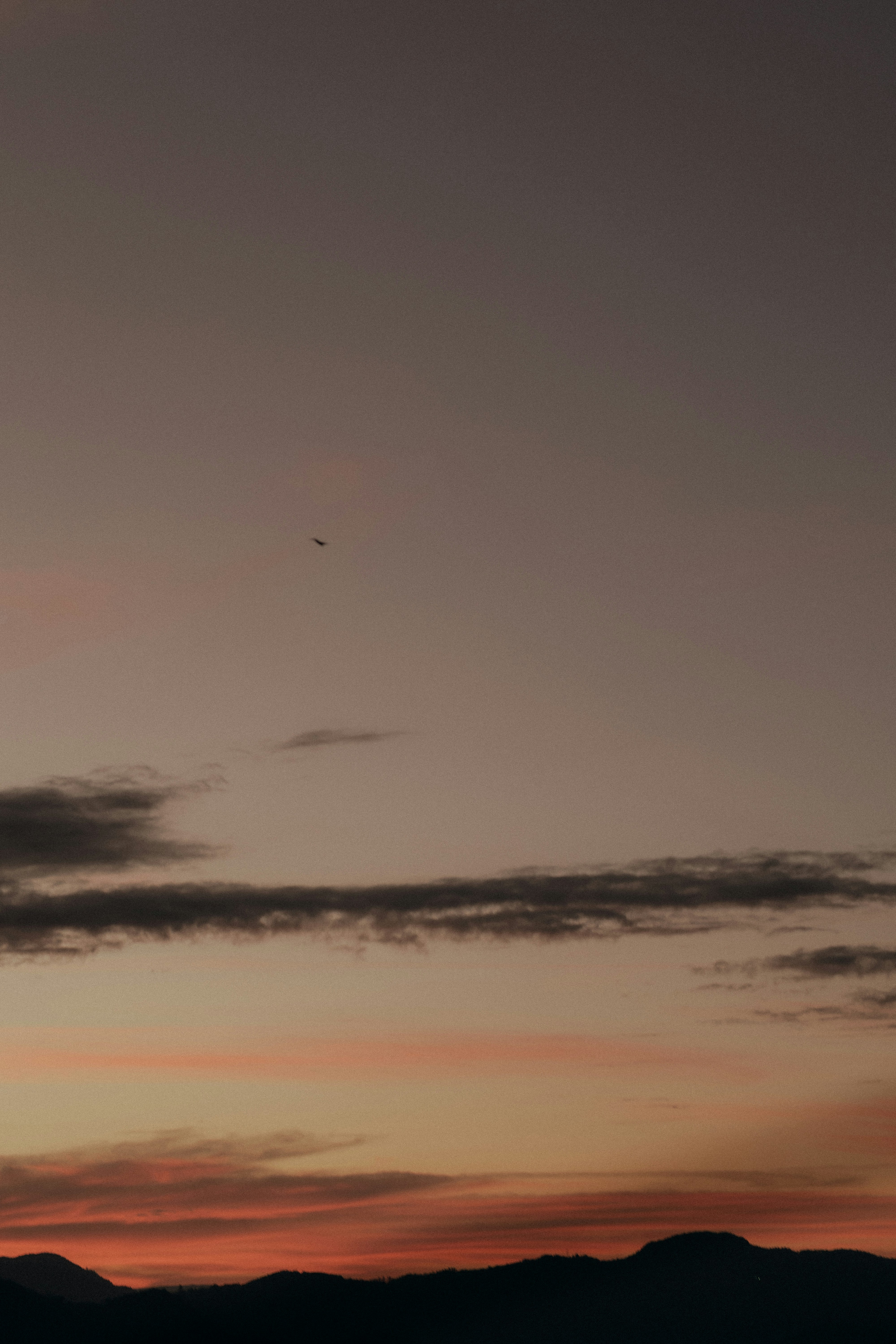 Silhouette Horizon at Dusk: A Quiet Desert Sunset
