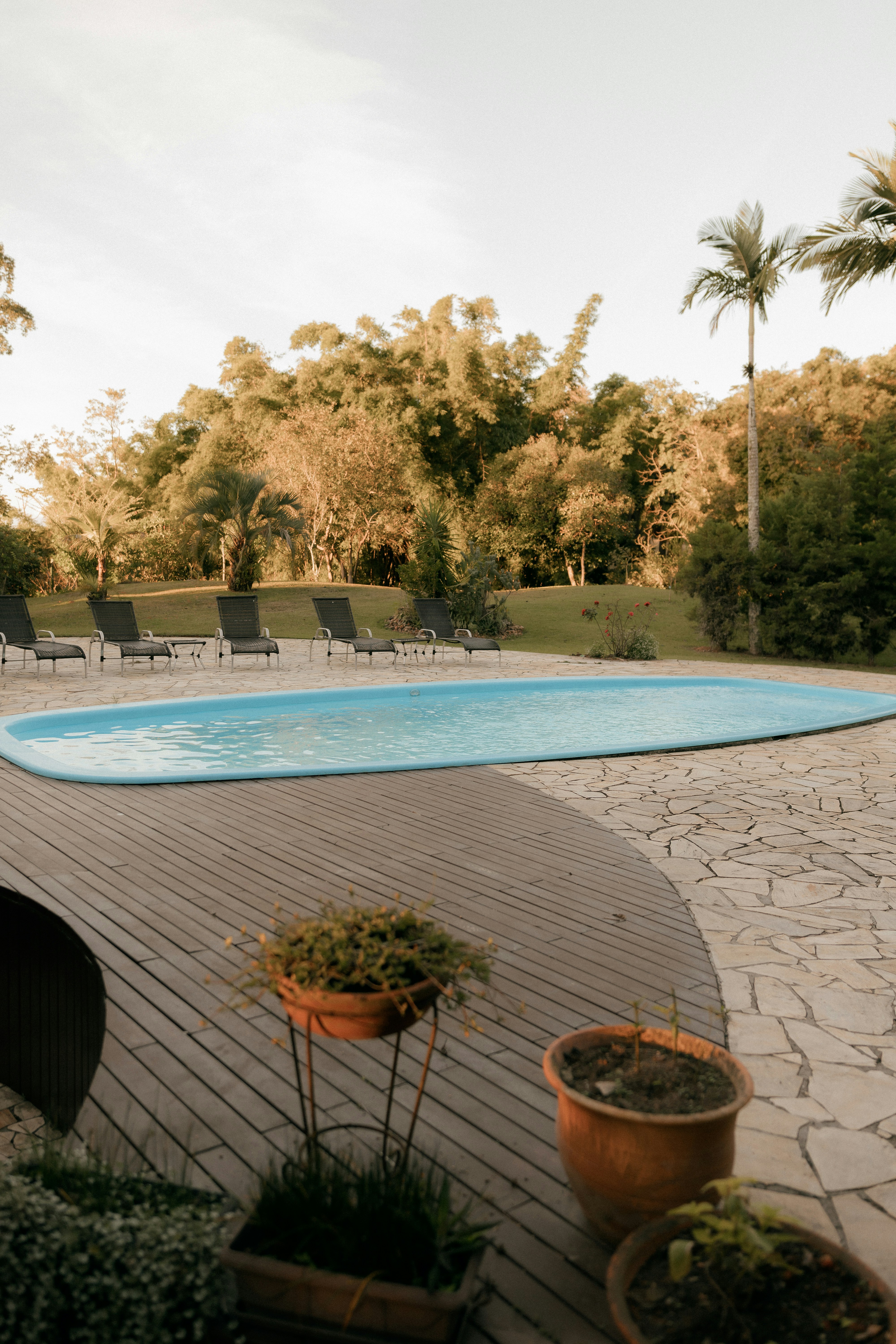 Sunny Poolside Calm with Curved Deck and Pots