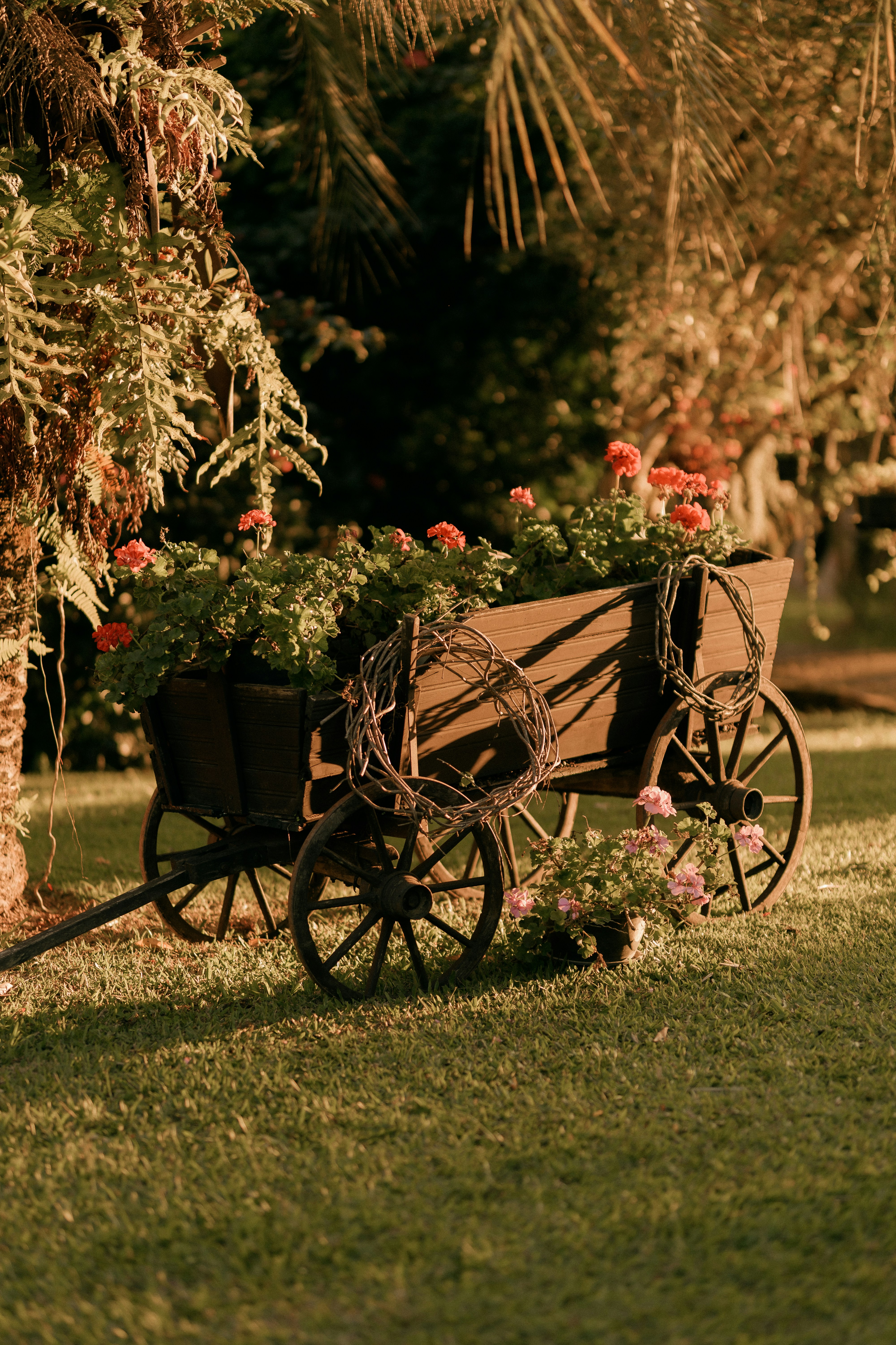 Garden Cart of Blooms Under a Golden Afternoon