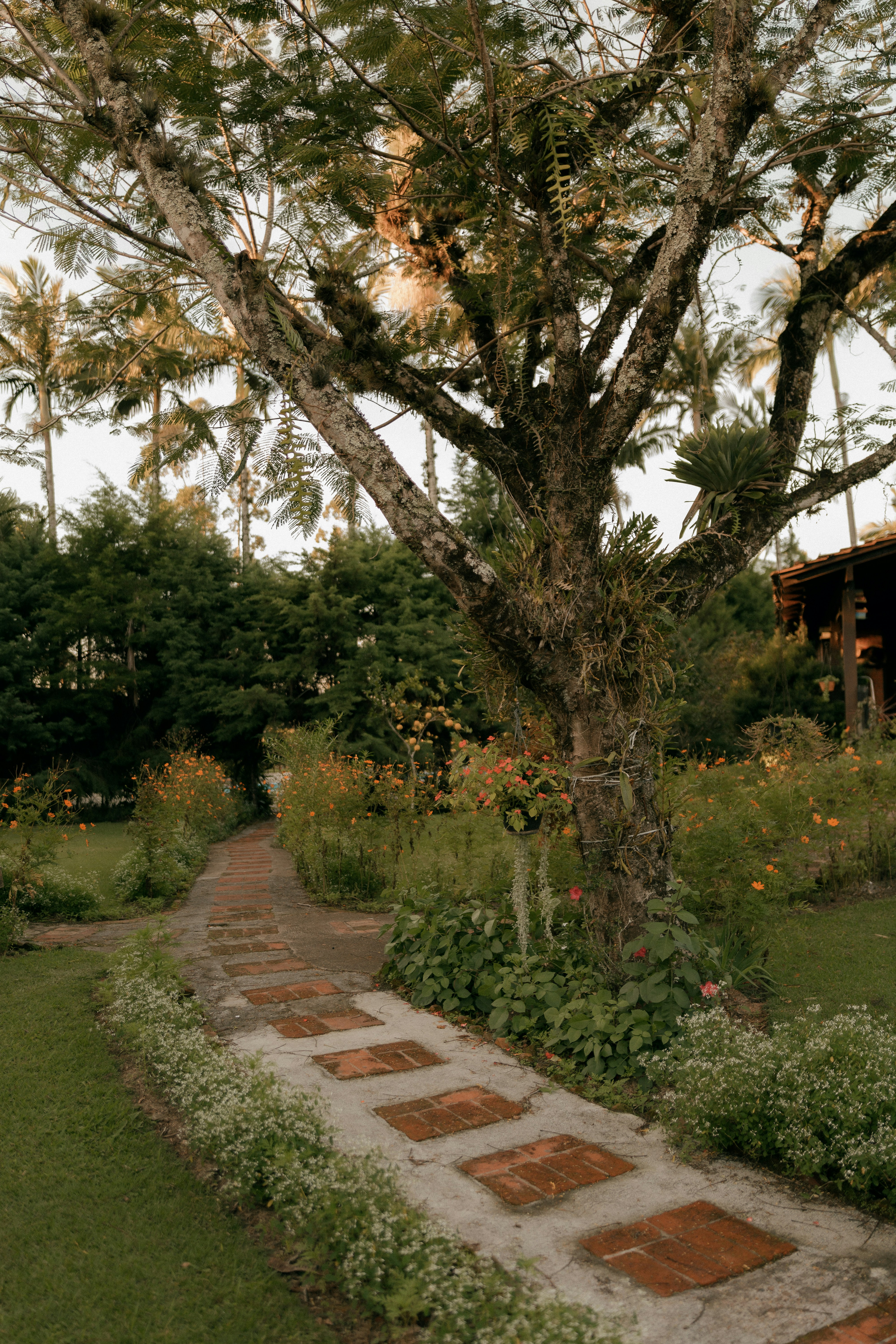 Sunlit Path Through a Blooming Garden