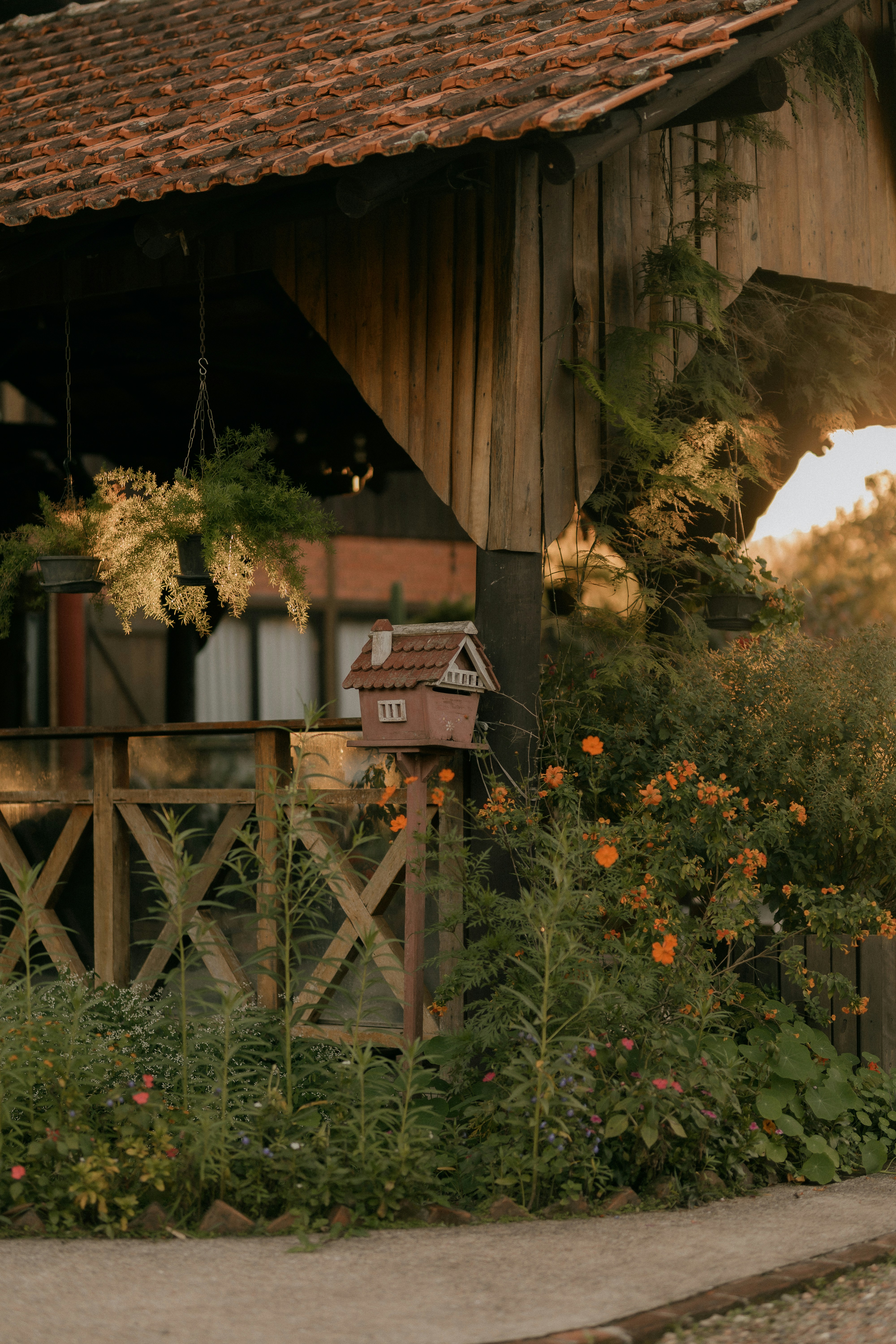 Sunlit Cottage Garden with a Whimsical Birdhouse